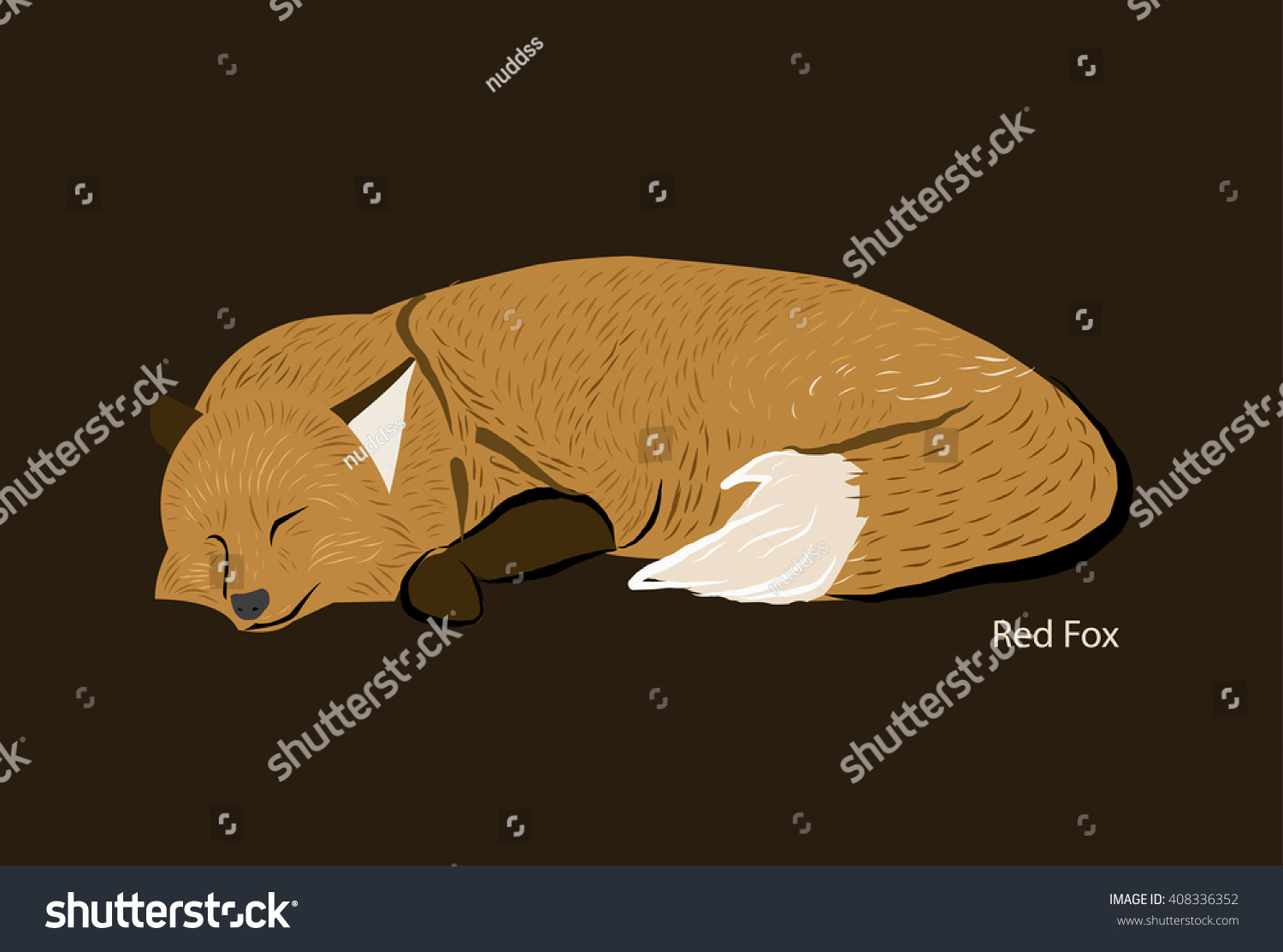 Little Red Fox Sleeping Vector Illustration Stock Vector (Royalty Free ...