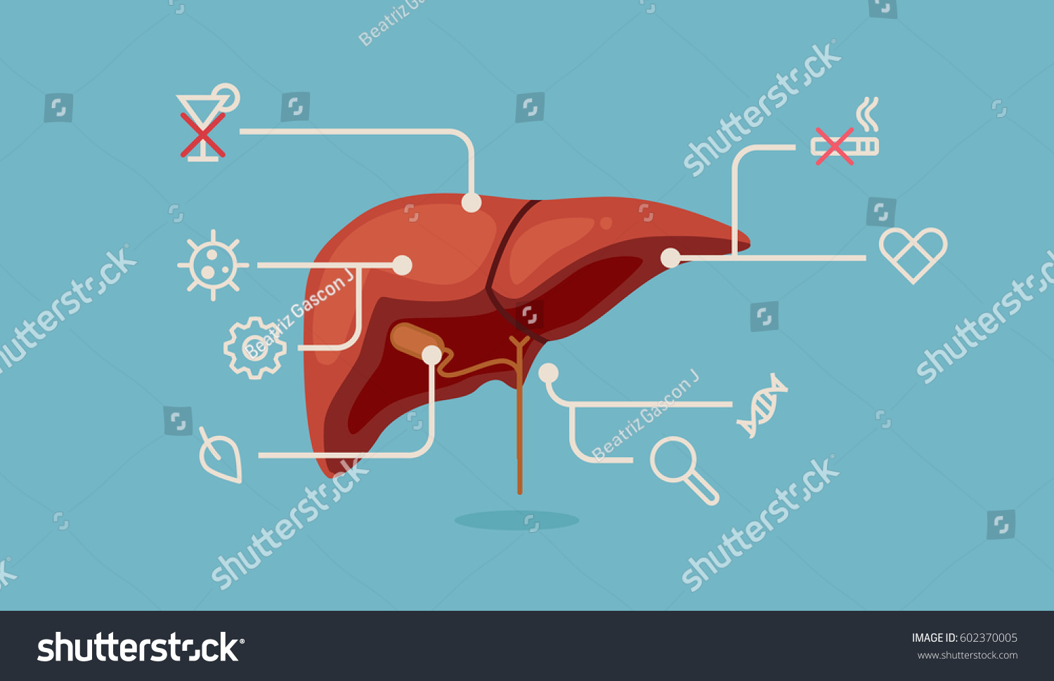 Liver Infographic Vector Illustration Stock Vector (Royalty Free ...