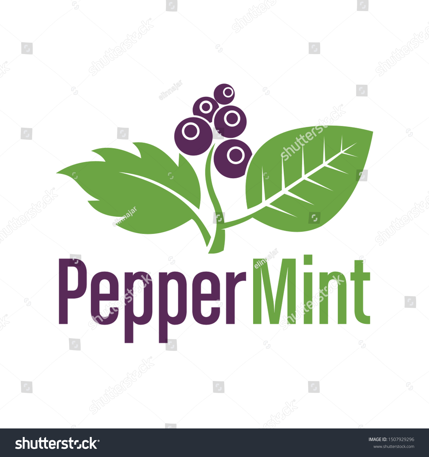 Logo Designs Leaf Paper Mint Stock Vector (Royalty Free) 1507929296 ...