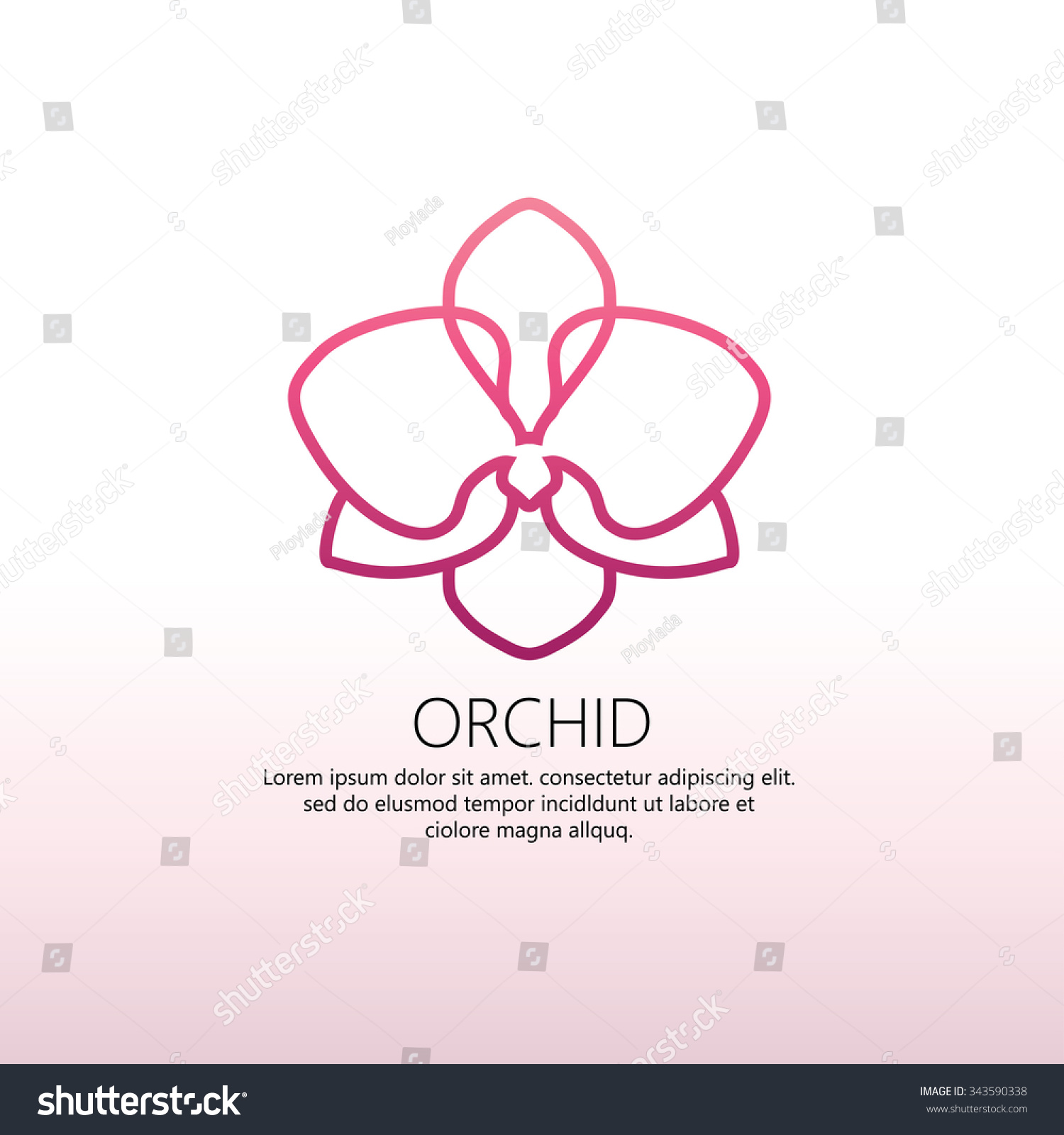 Logo Orchid Design Vector: vector de stock (libre de regalías) 343590338