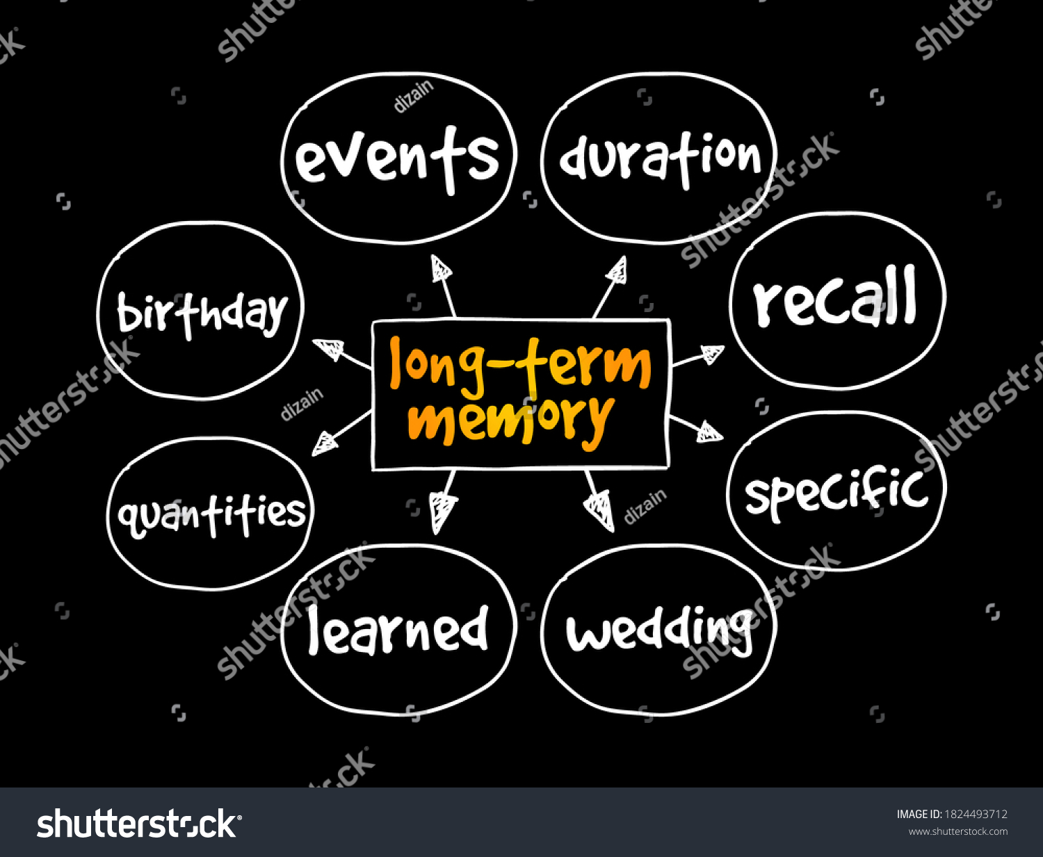 Longterm Memory Mind Map Concept Presentations Stock Vector (Royalty ...