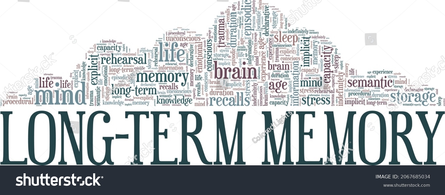 Longterm Memory Vector Illustration Word Cloud Stock Vector (Royalty ...