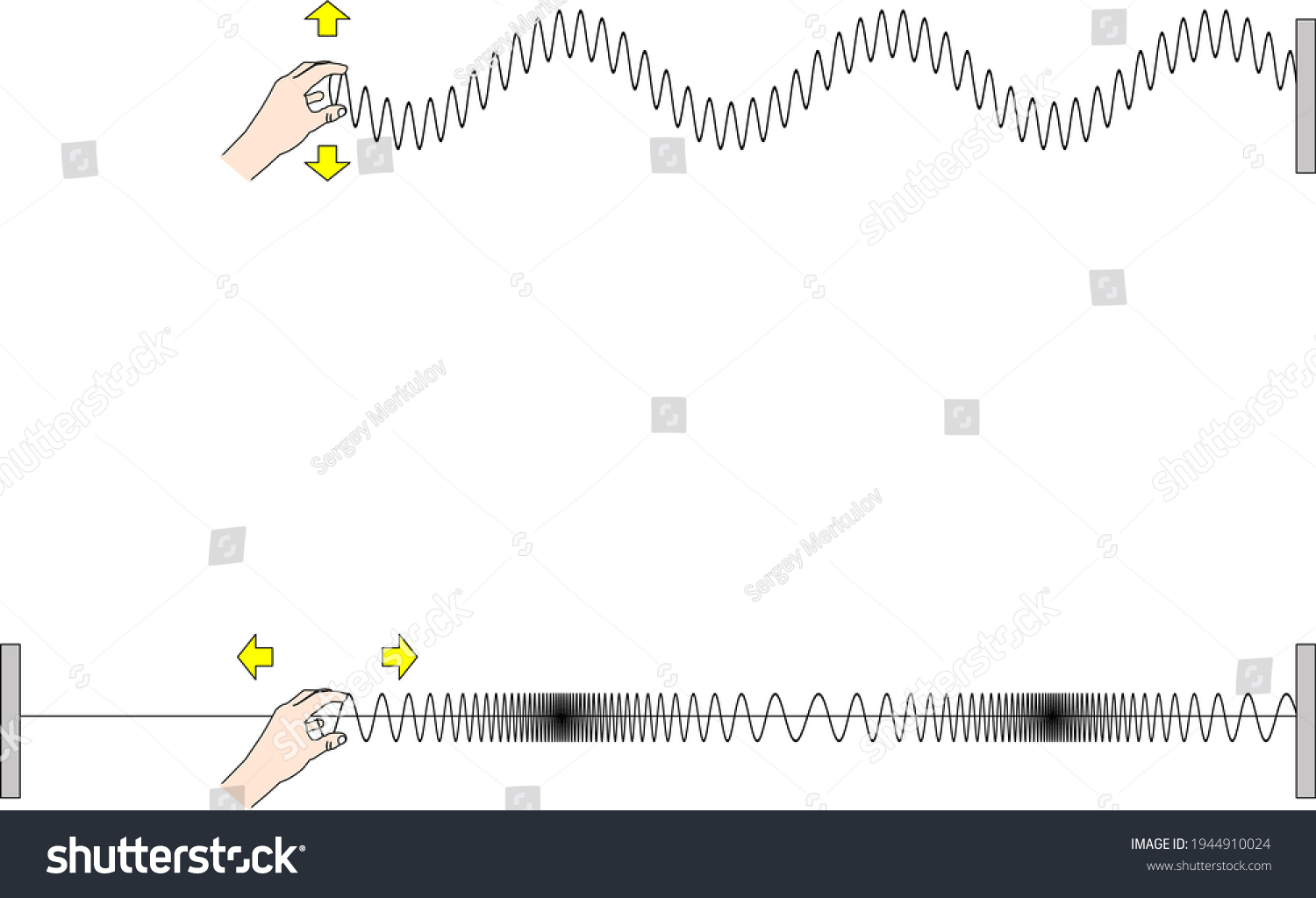 Longitudinal Transverse Waves Spring Stock Vector (Royalty Free) 1944910024 Longitudinal Transverse Waves Spring Stock Vector (Royalty Free) 1944910024