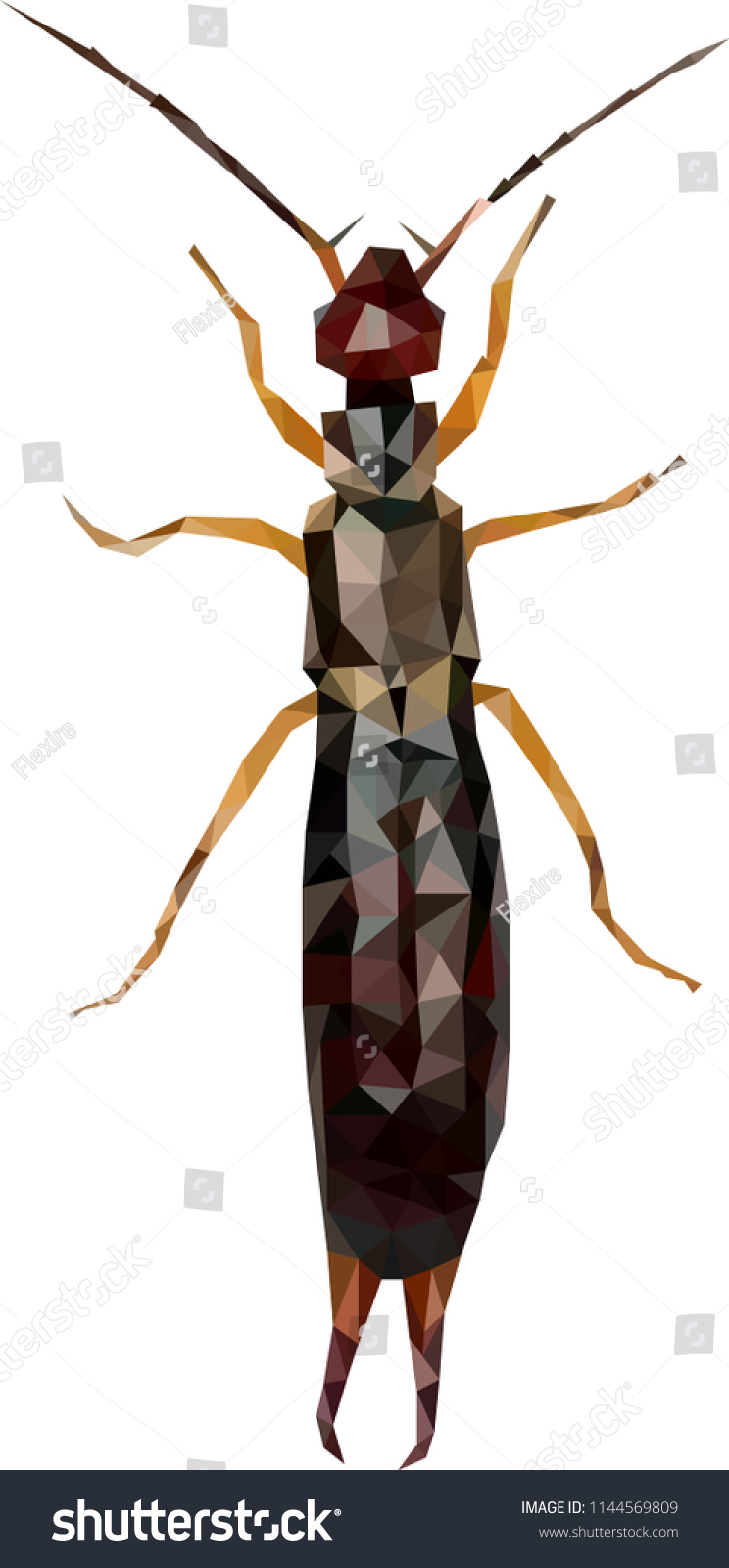 Low Poly Earwig Earwig Triangles Vector Stock Vector (Royalty Free ...