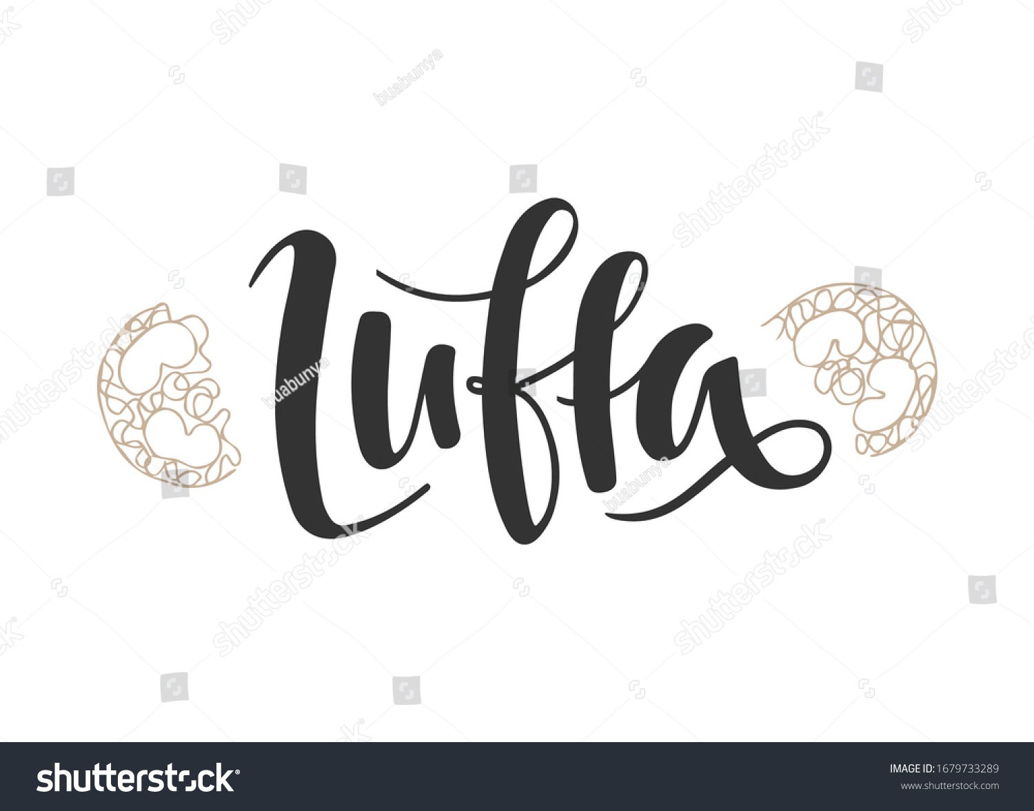Luffa Vector Text Hand Drawn Lettering Stock Vector (Royalty Free ...