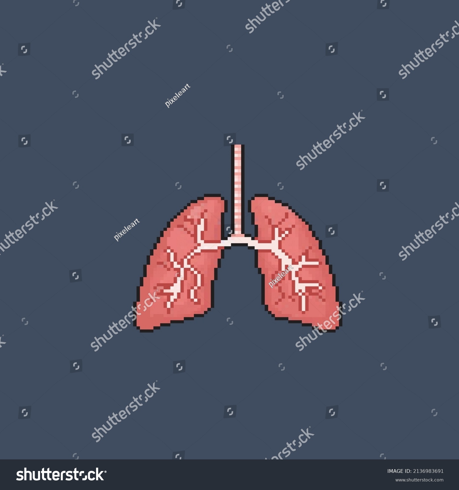 Lung Organs Pixel Style Stock Vector (Royalty Free) 2136983691 ...