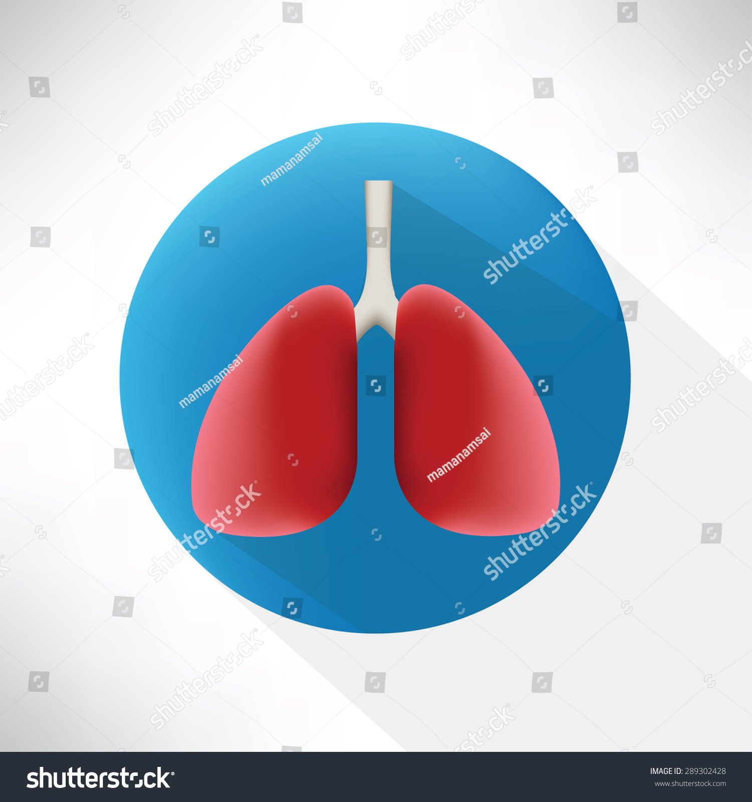 Lung Symbol Iconflat Designclean Vector Stock Vector (Royalty Free ...