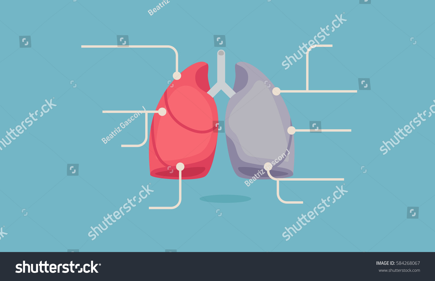 Lungs Infographic Vector Illustration Stock Vector (Royalty Free) 584268067