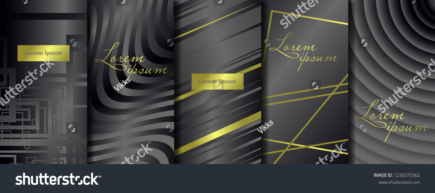 Luxury Premium Packaging Templates Vector Set Stock Vector (Royalty ...