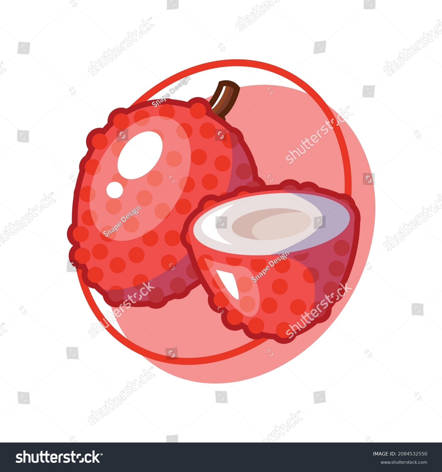 Lychee Fruit Drawing Illustration Design Stock Vector (Royalty Free ...