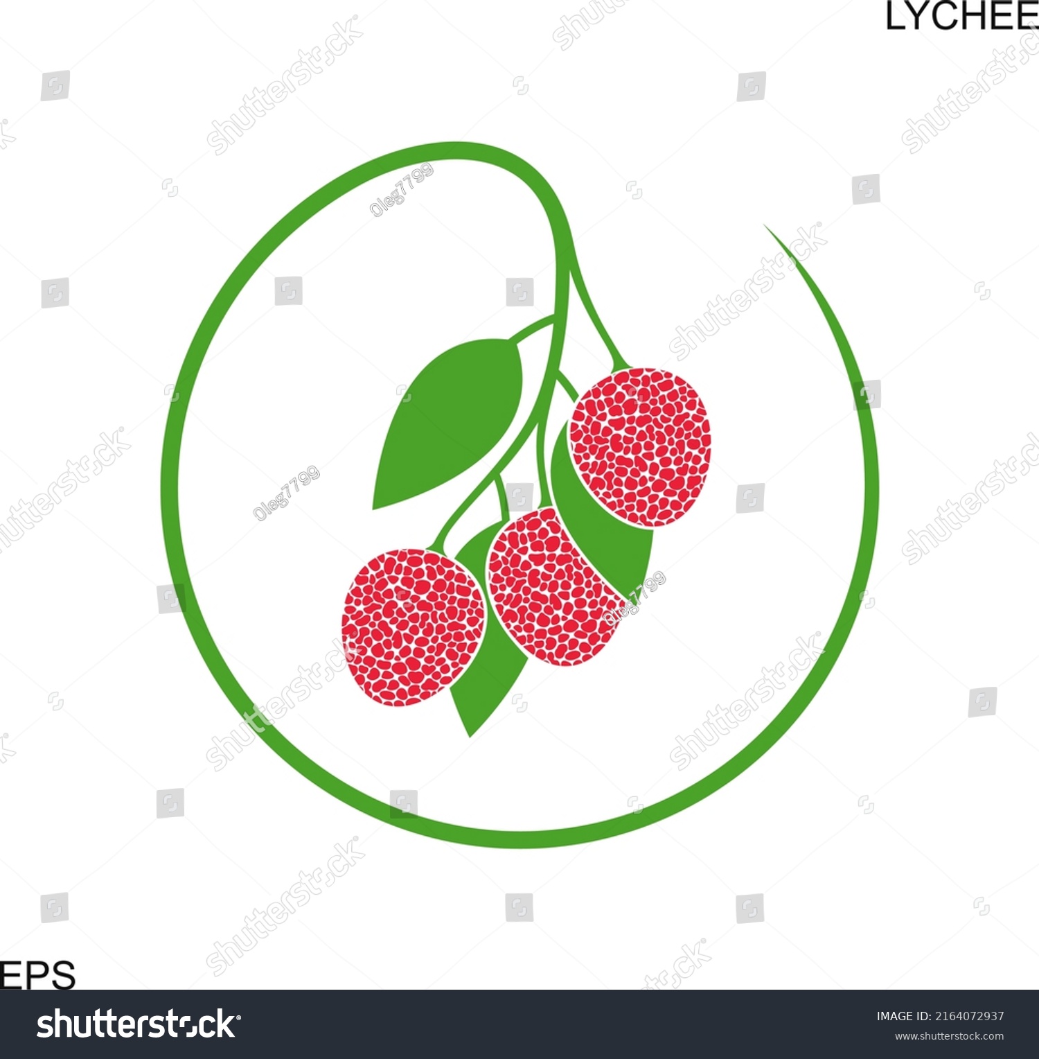 Lychee Logo Isolated Lychee On White Stock Vector (Royalty Free ...