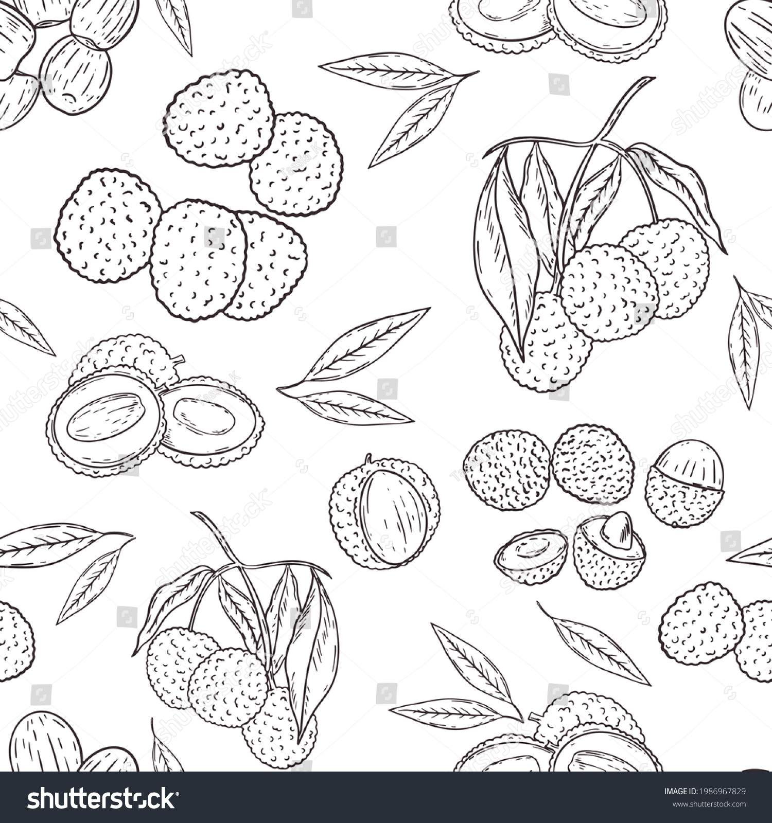 Lychee Seamless Pattern Sketch Hand Drawing Stock Vector (Royalty Free ...