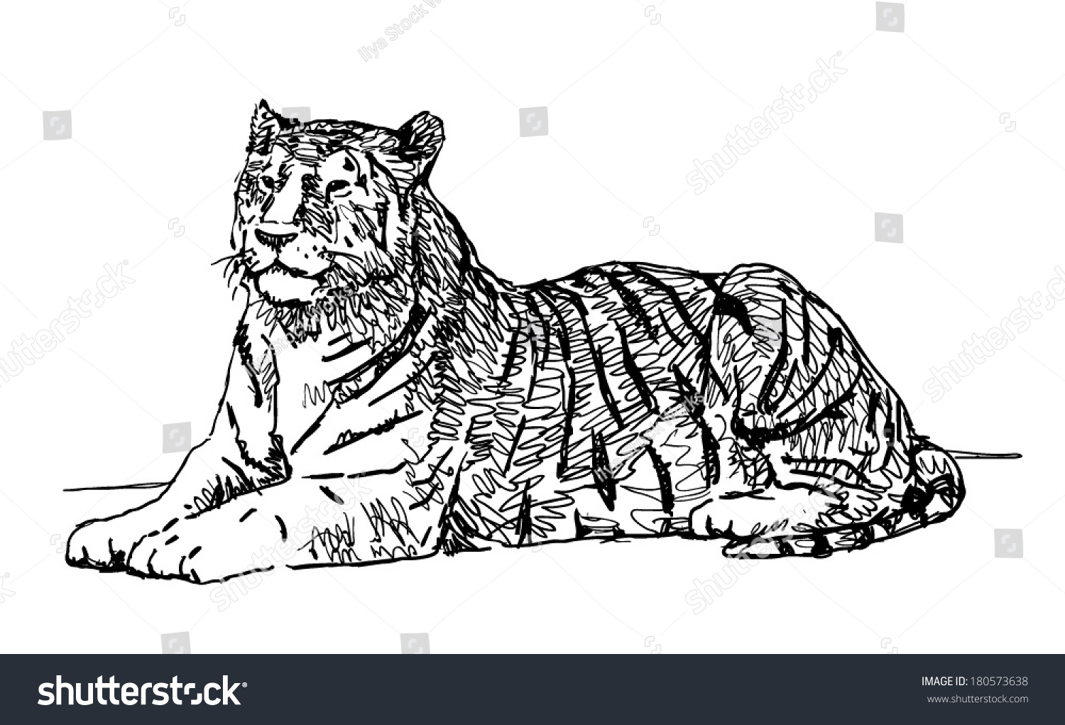 Lying Tiger Sketchy Vector Drawing Isolated Stock Vector (Royalty Free ...
