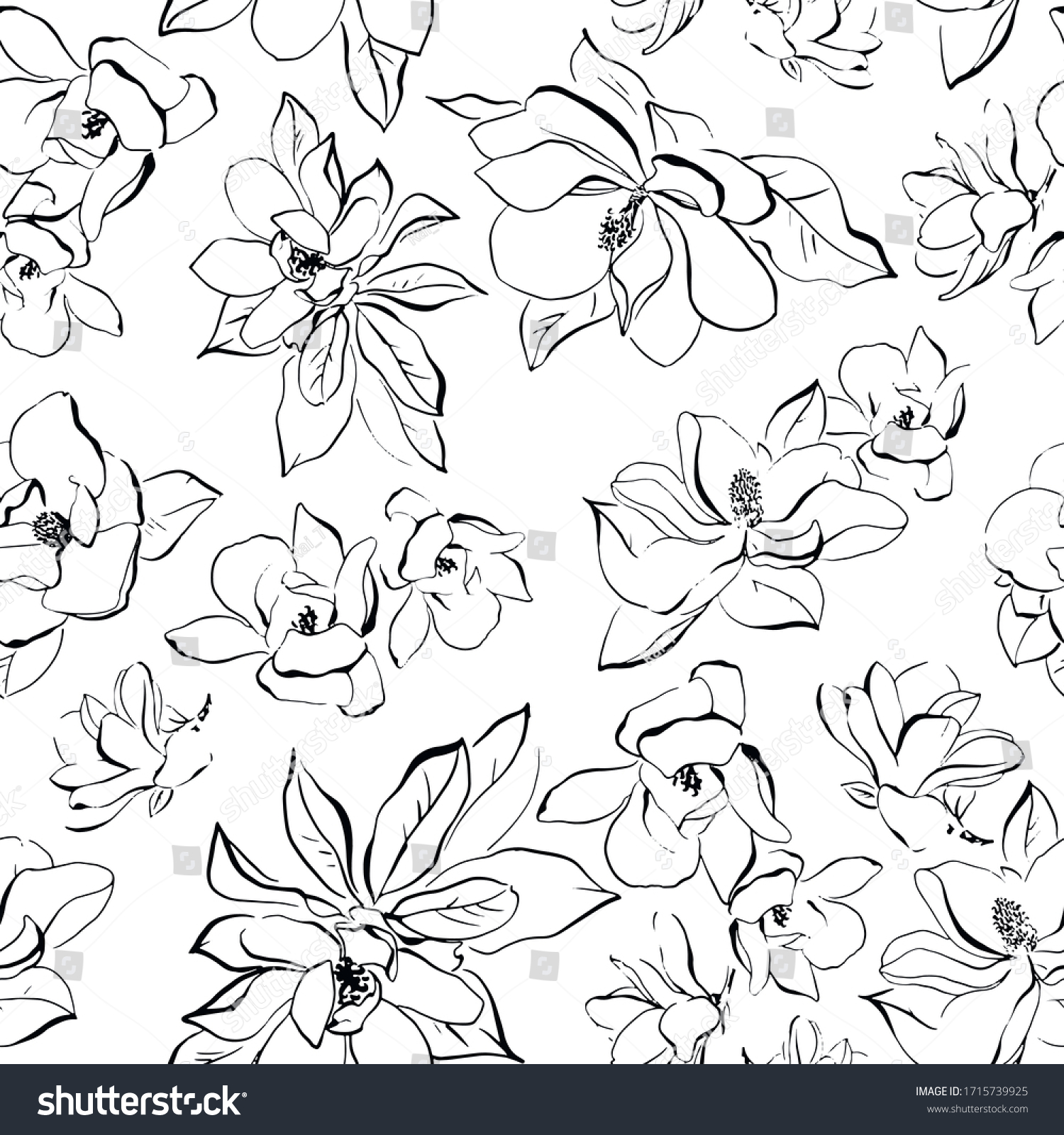 Magnolia Pattern Drawing Vector Sketch Stock Vector (Royalty Free ...
