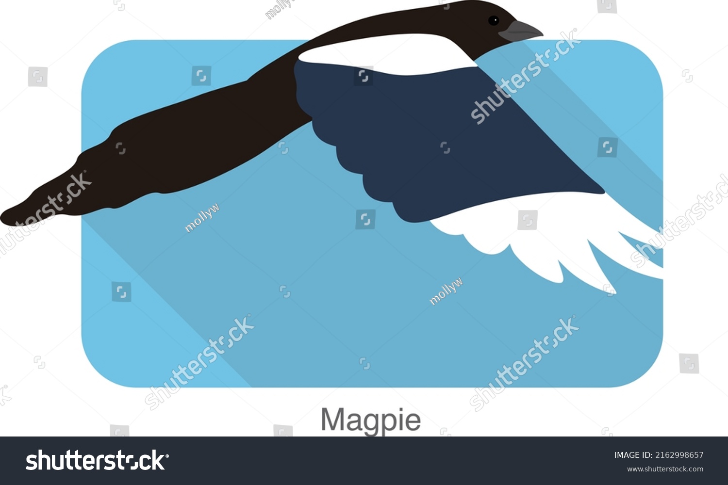 Magpie Bird Flying Vector Illustration Stock Vector (Royalty Free ...