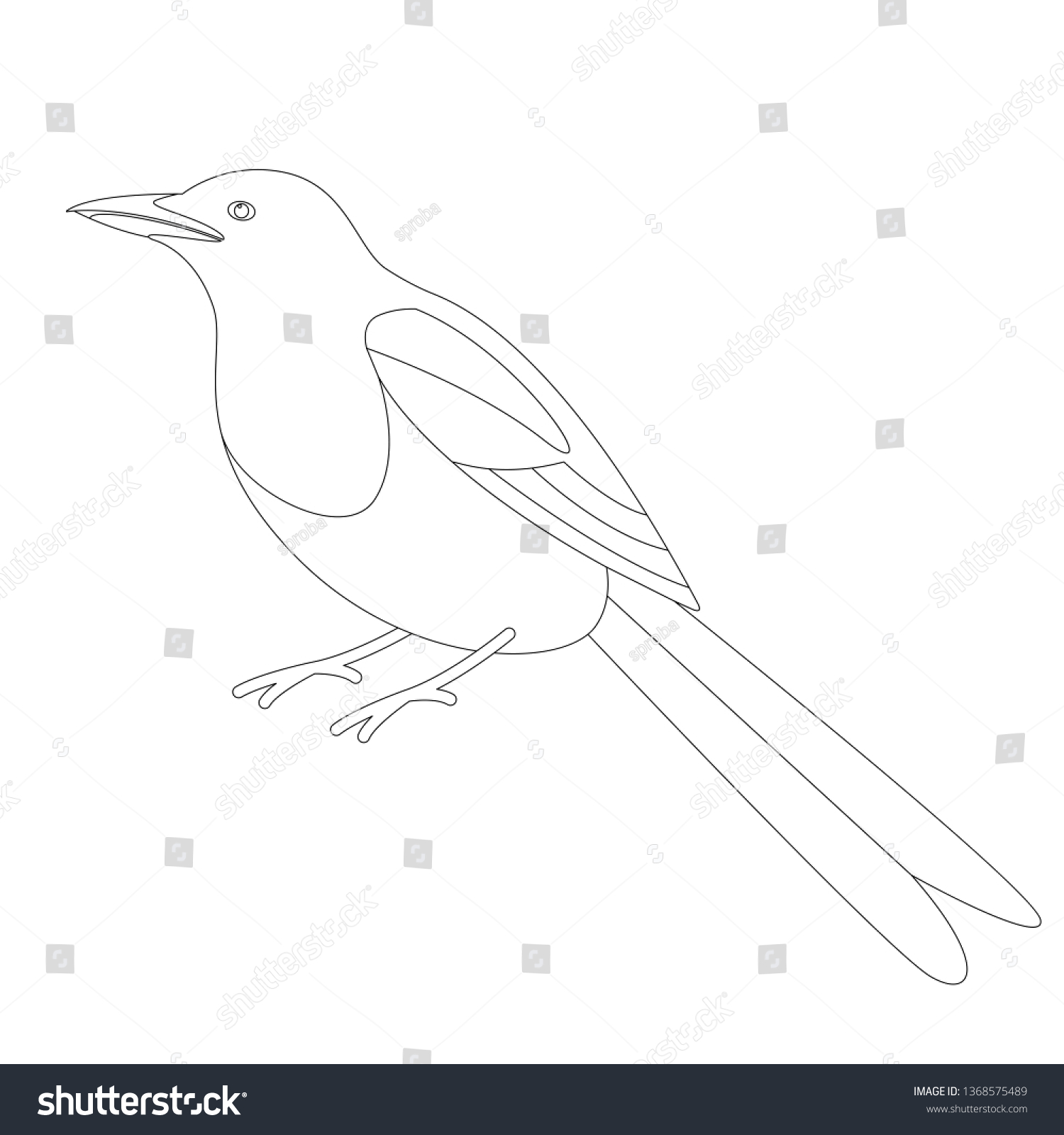 Magpie Bird Vector Illustration Lining Draw Stock Vector (Royalty Free ...