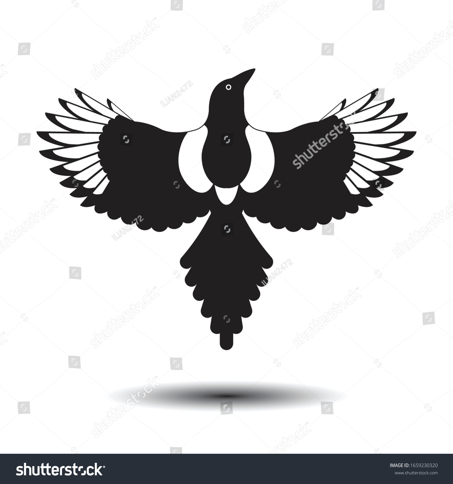 Magpie Vector Design Isolated On White Stock Vector (Royalty Free ...