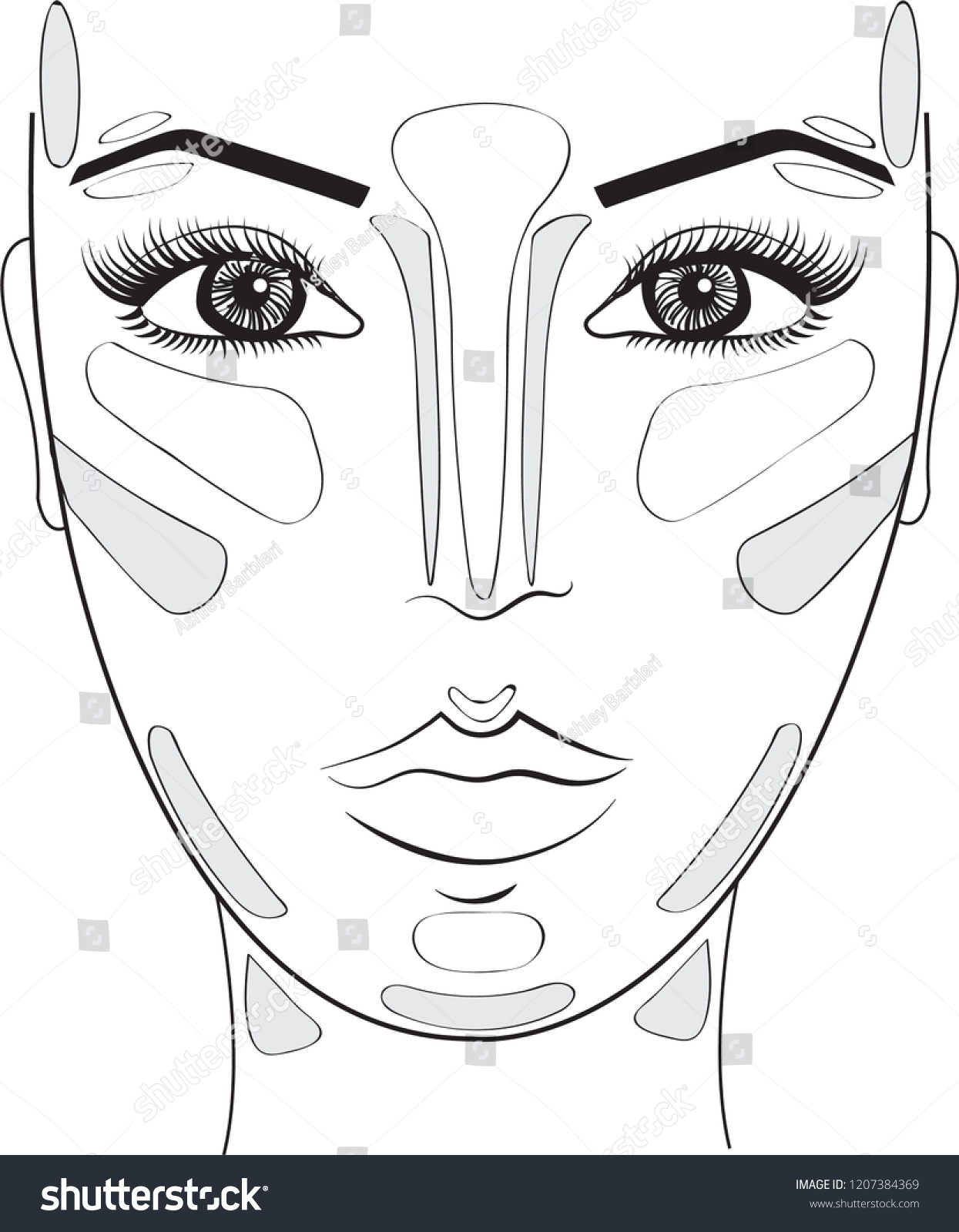 Makeup Face Contour Oval Face Shape Stock Vector (Royalty Free) 1207384369