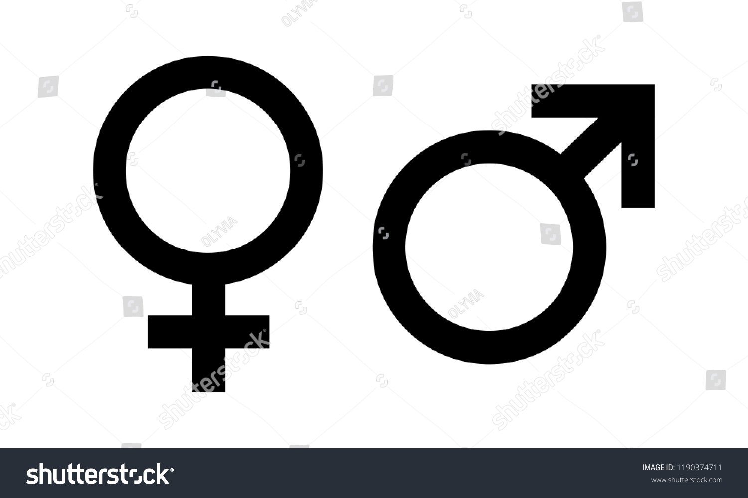 Male Female Symbol Icon Vector Symbol Stock Vector Royalty Free