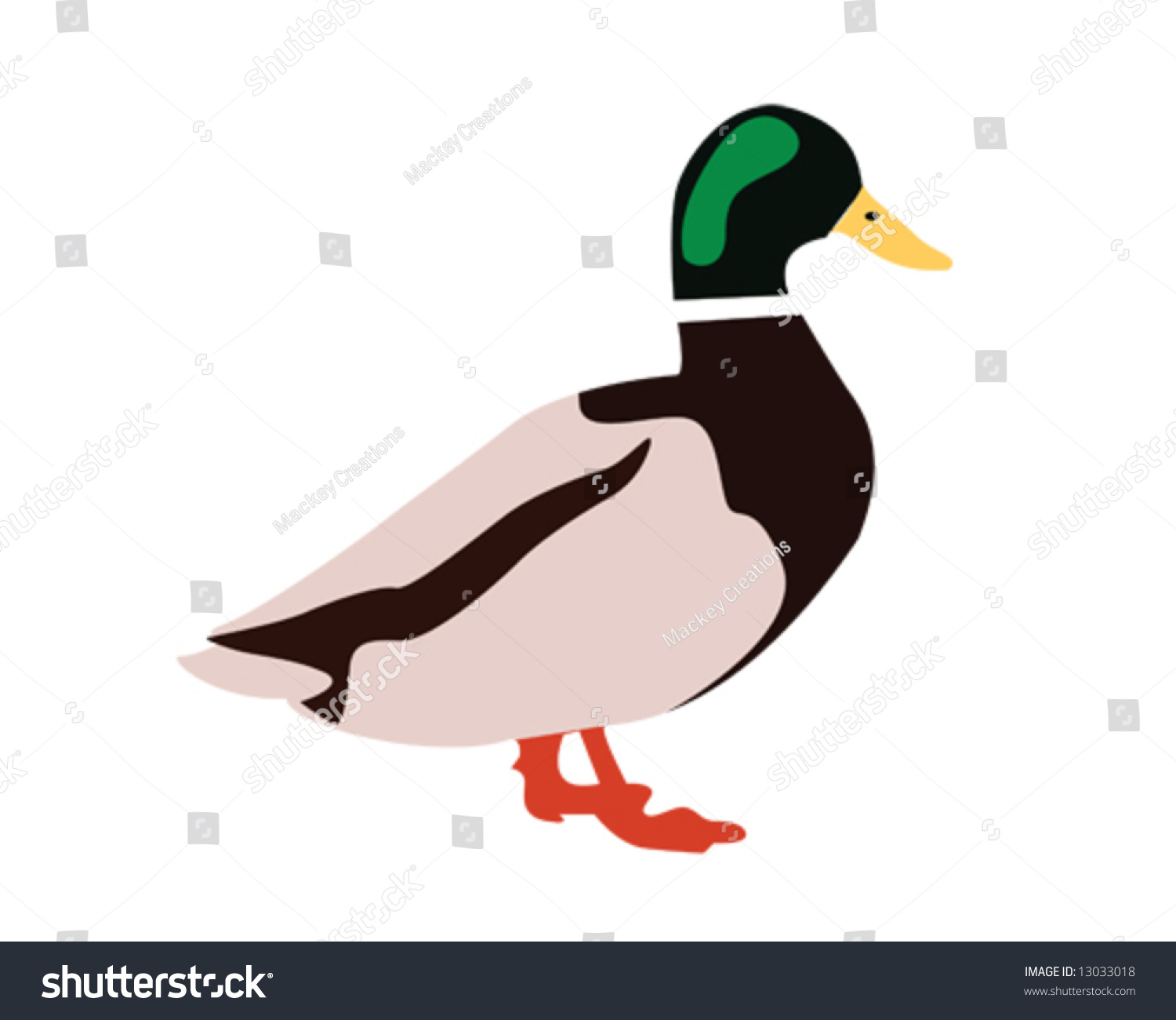 Mallard Duck Vector Illustration Stock Vector 13033018 - Shutterstock