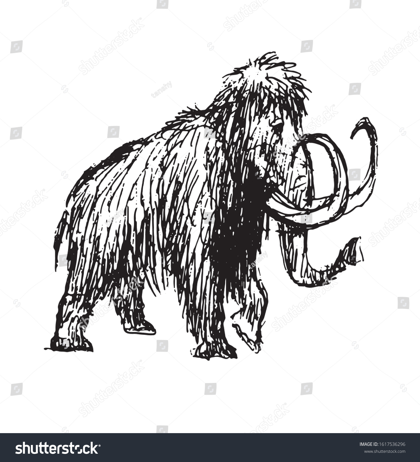 Mammoth Illustration Engraving Pencil Drawing Extinct Stock Vector ...