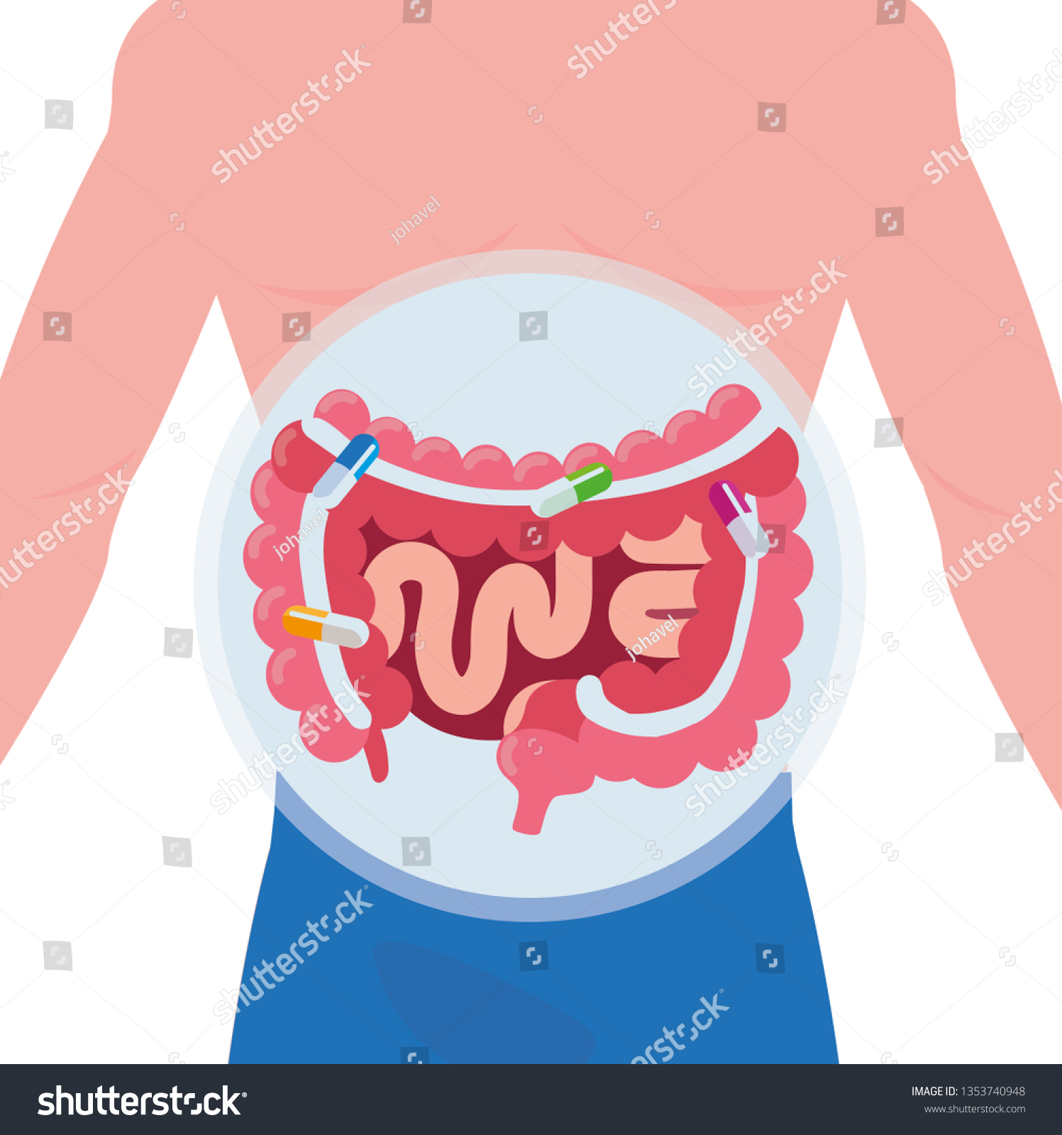 Man Anatomy Digestive System Stock Vector (Royalty Free) 1353740948 ...