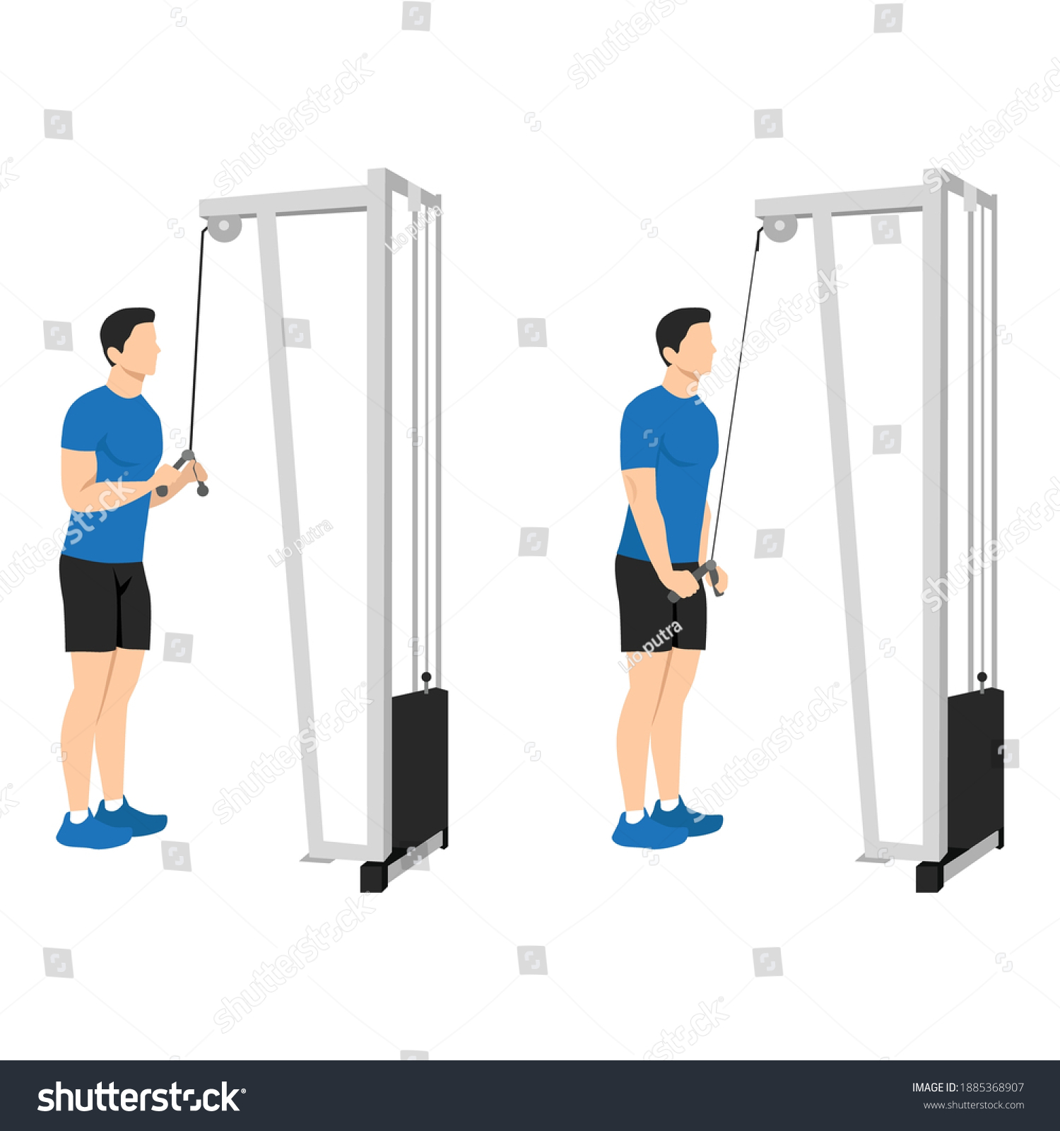 13,925 Bicep machine Images, Stock Photos & Vectors | Shutterstock
