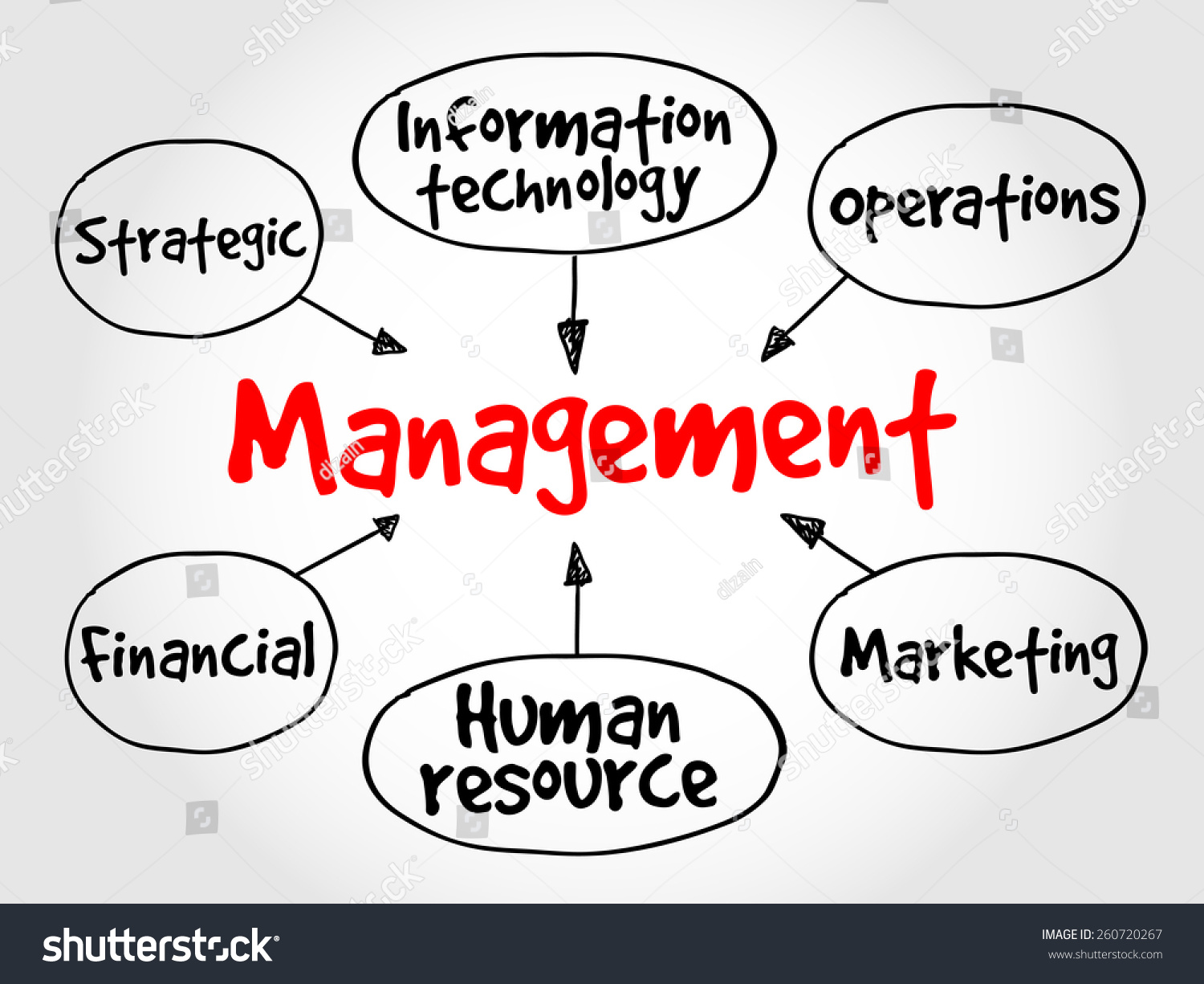 Management Mind Map Business Strategy Concept Stock Vector (Royalty ...