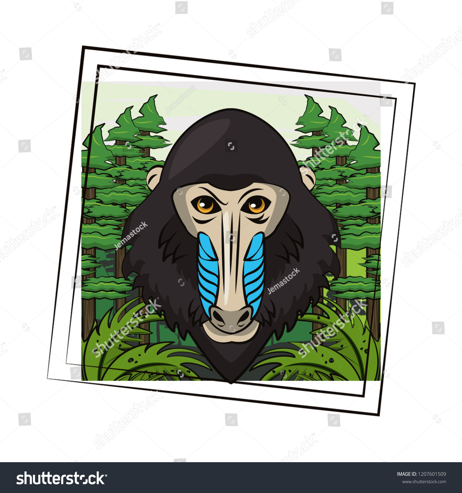 Mandrill Face Cool Sketch Stock Vector (Royalty Free) 1207601509 ...
