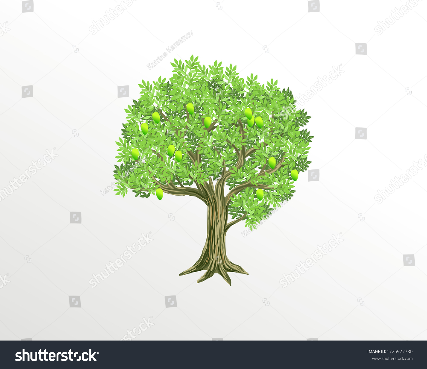 Mango Tree Vector Illustration Isolated On: Vector có sẵn (miễn phí bản ...