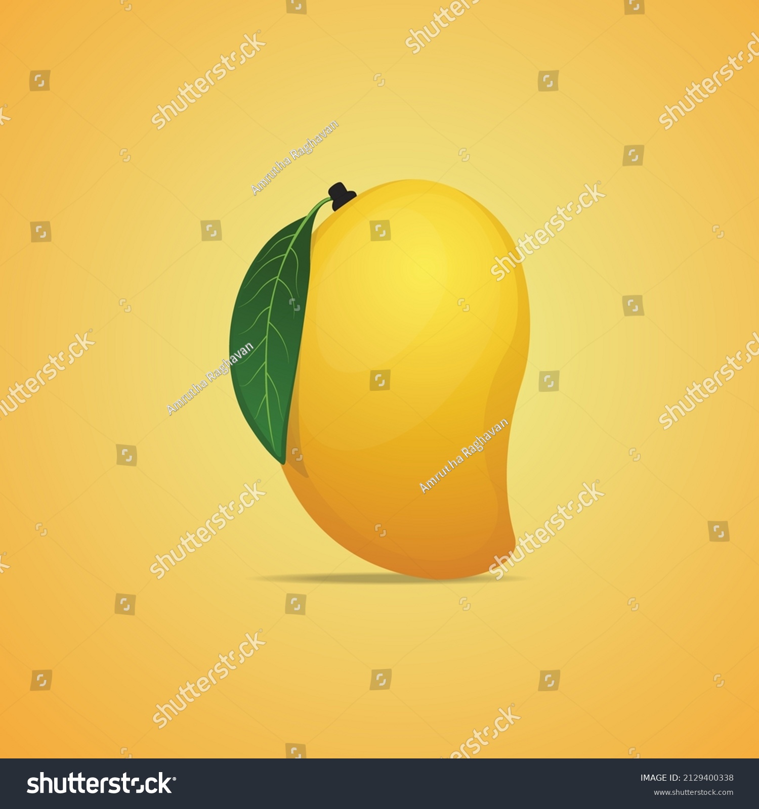 Mango Vector Illustration Design Fresh Mango Stock Vector (Royalty Free ...