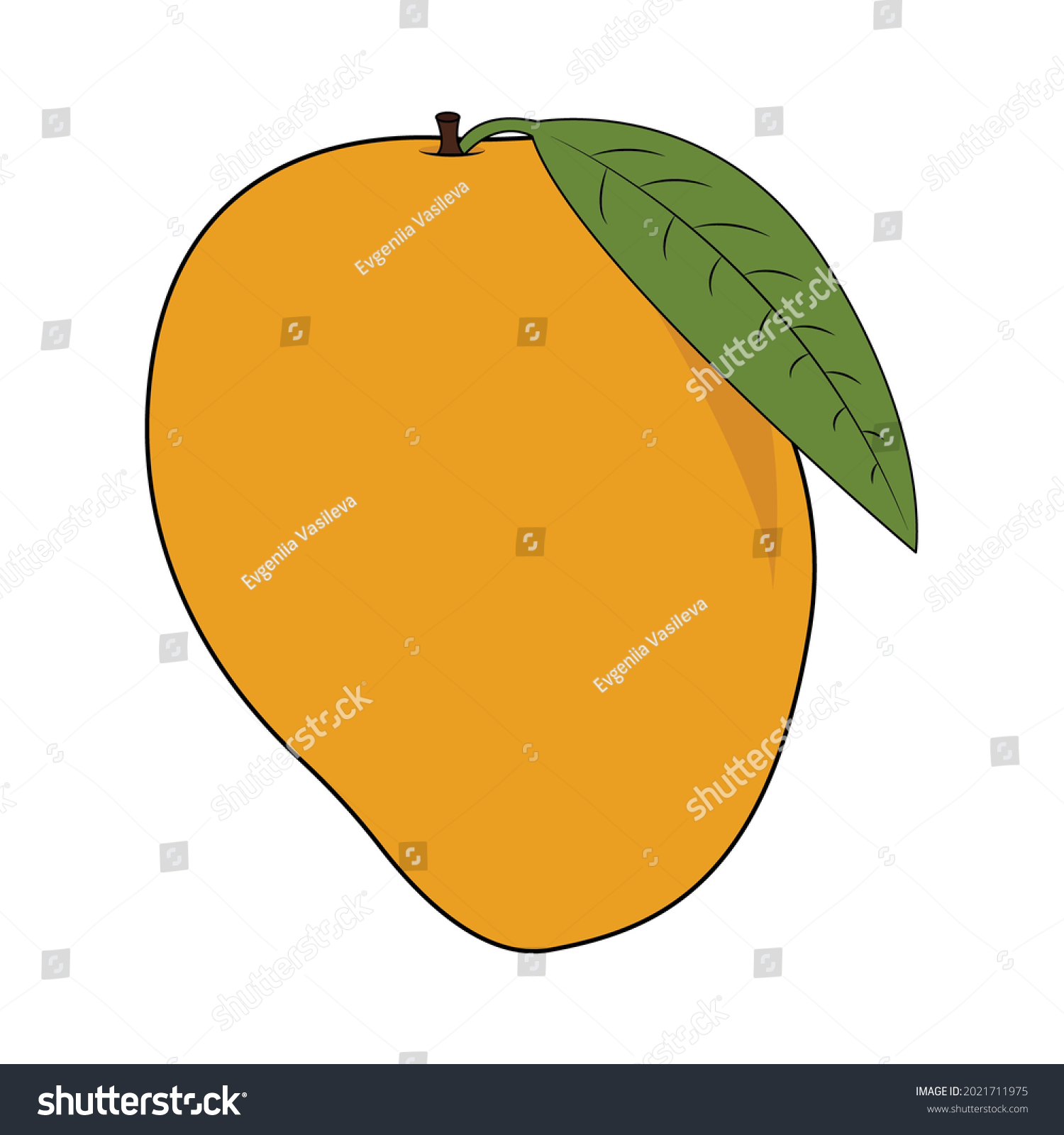 Mango Leaf Vector Illustration Isolated On Stock Vector (Royalty Free ...