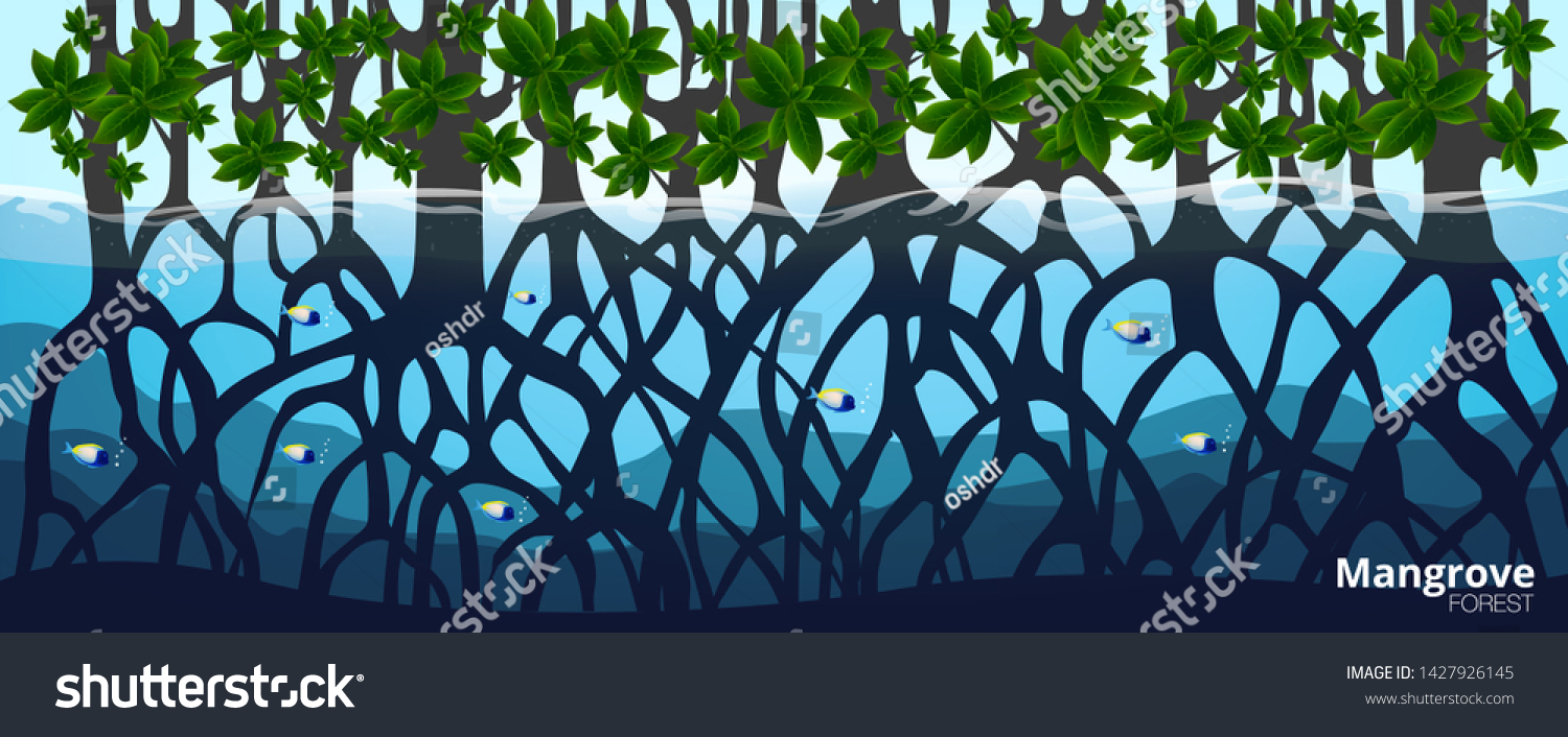 Ilustración vectorial de fondo del manglar.: vector de stock (libre de ...