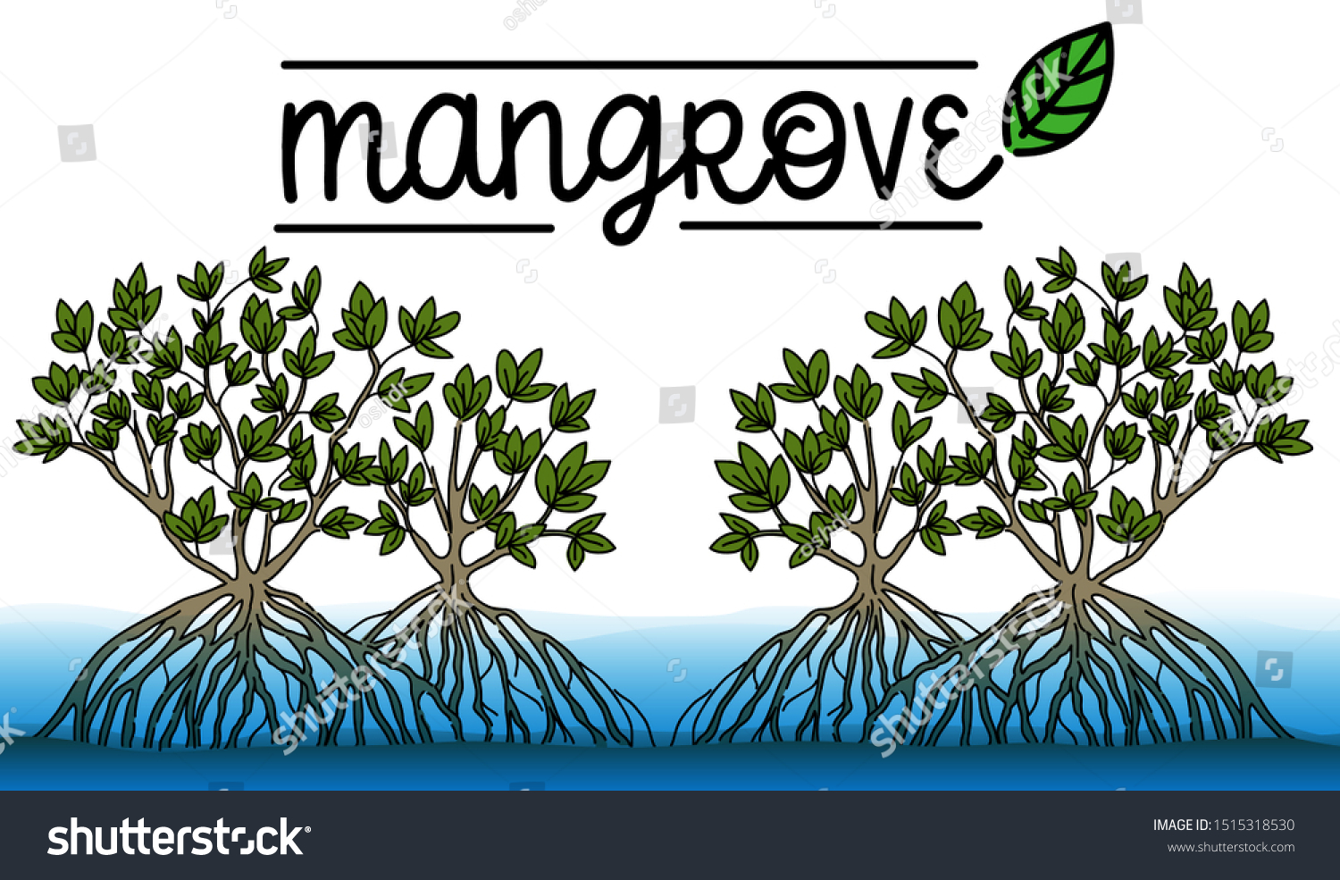 Mangrove Forest Background Vector Eps10 Stock Vector (Royalty Free ...
