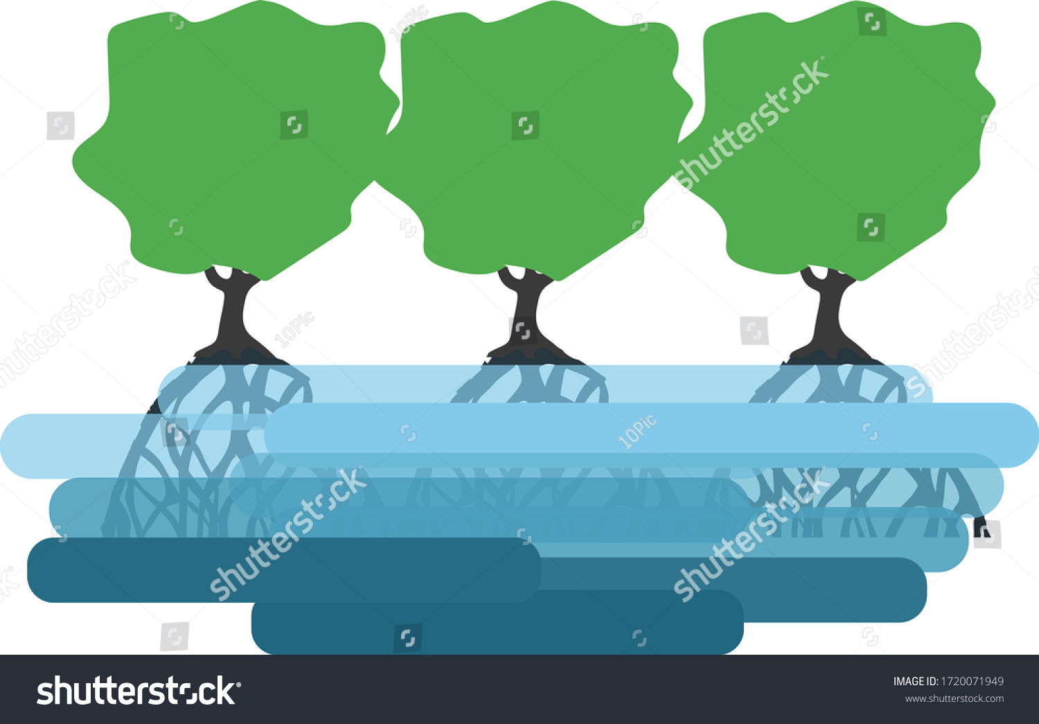 Mangrove Landscape Background Design Underwater View Stock Vector ...