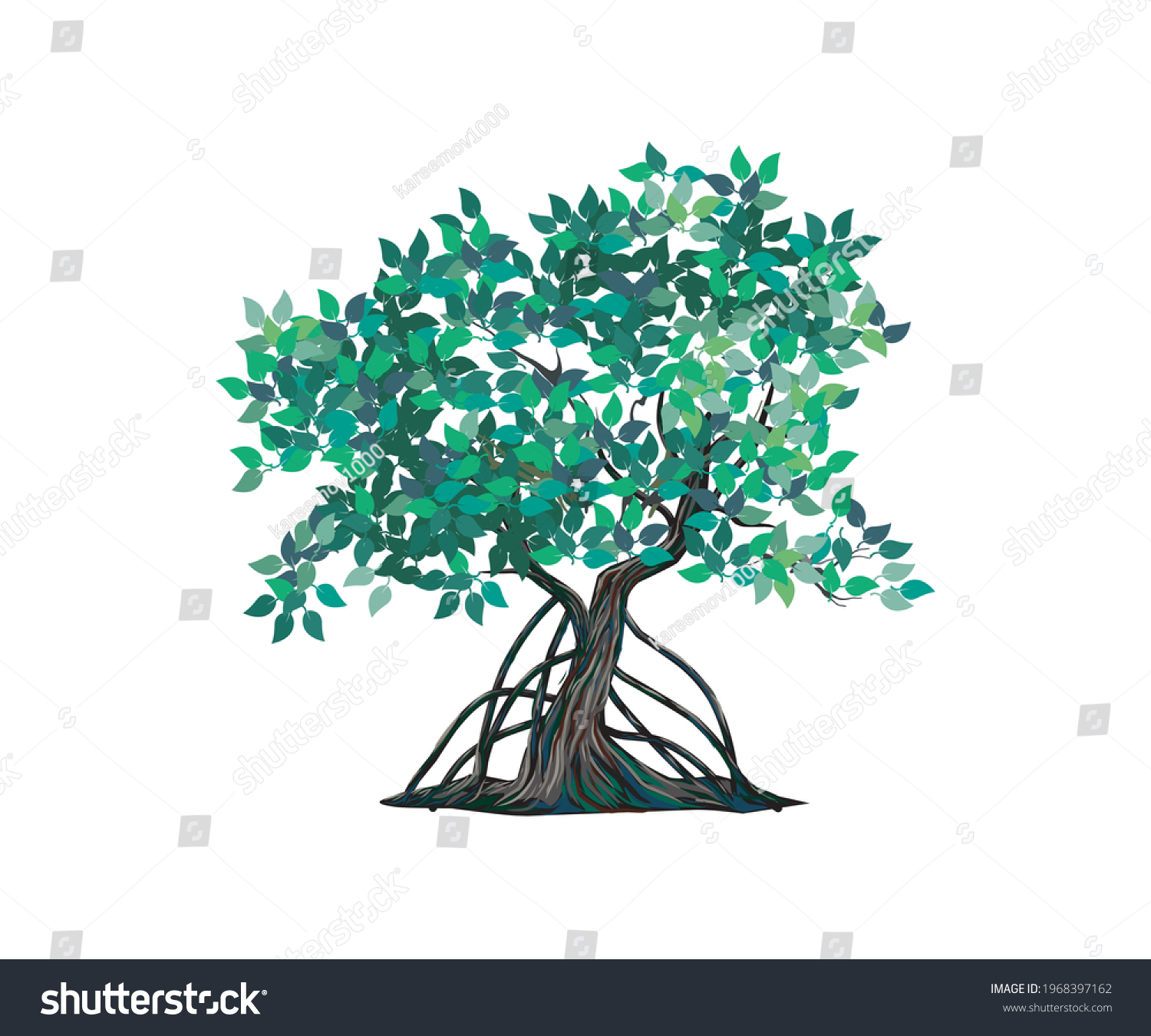 Mangrove Tree Vector Illustration Isolated On Stock Vector (Royalty ...