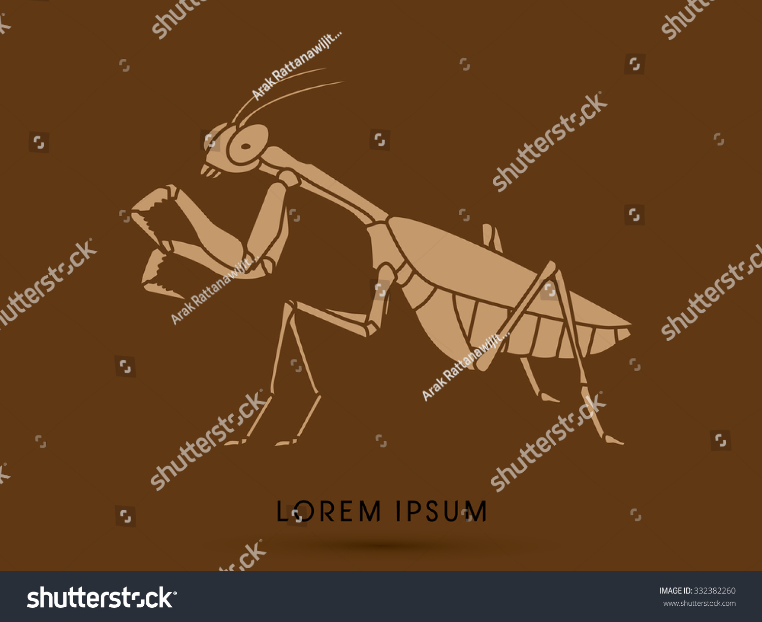 Mantis Mantodea Grasshopper Graphic Vector Stock Vector (Royalty Free ...