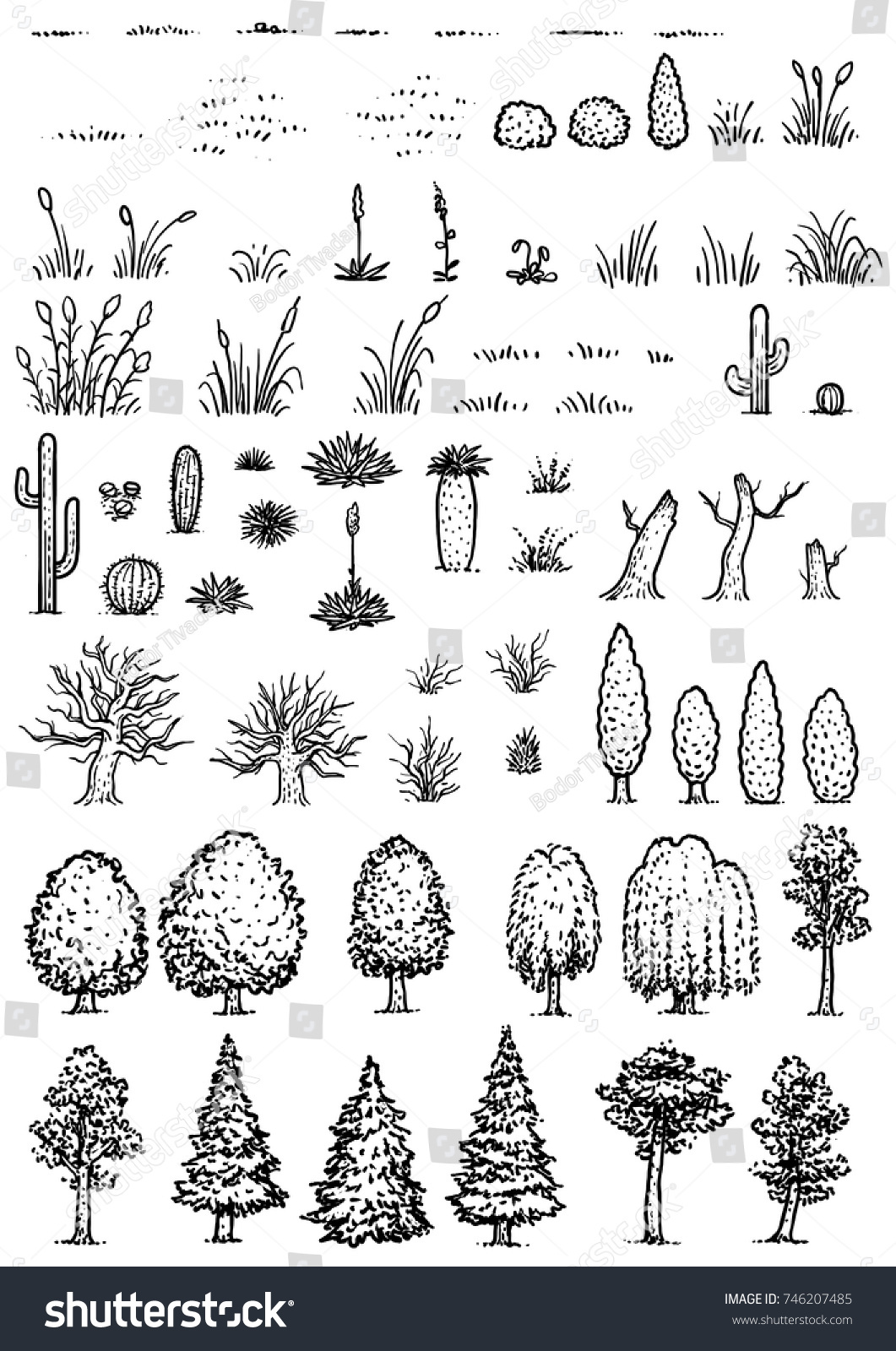 Map Elements Illustration Drawing Engraving Ink Stock Vector (Royalty ...