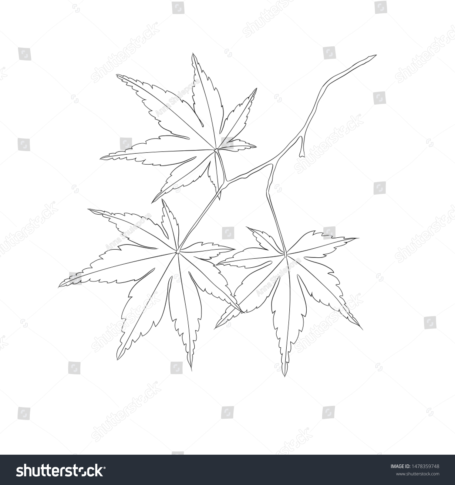 Maple Branch Line Drawing Vector Illustration Stock Vector (Royalty ...