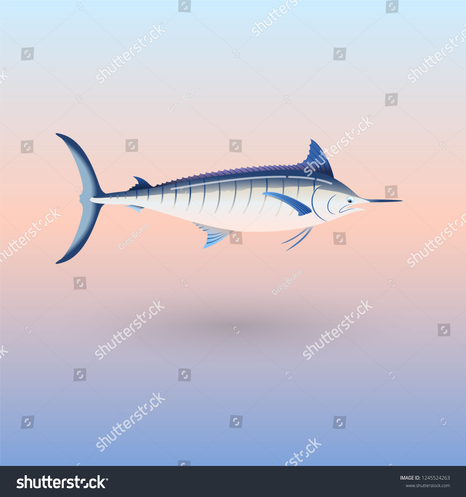 Marlin Fish Illustration Stock Vector (Royalty Free) 1245524263 ...