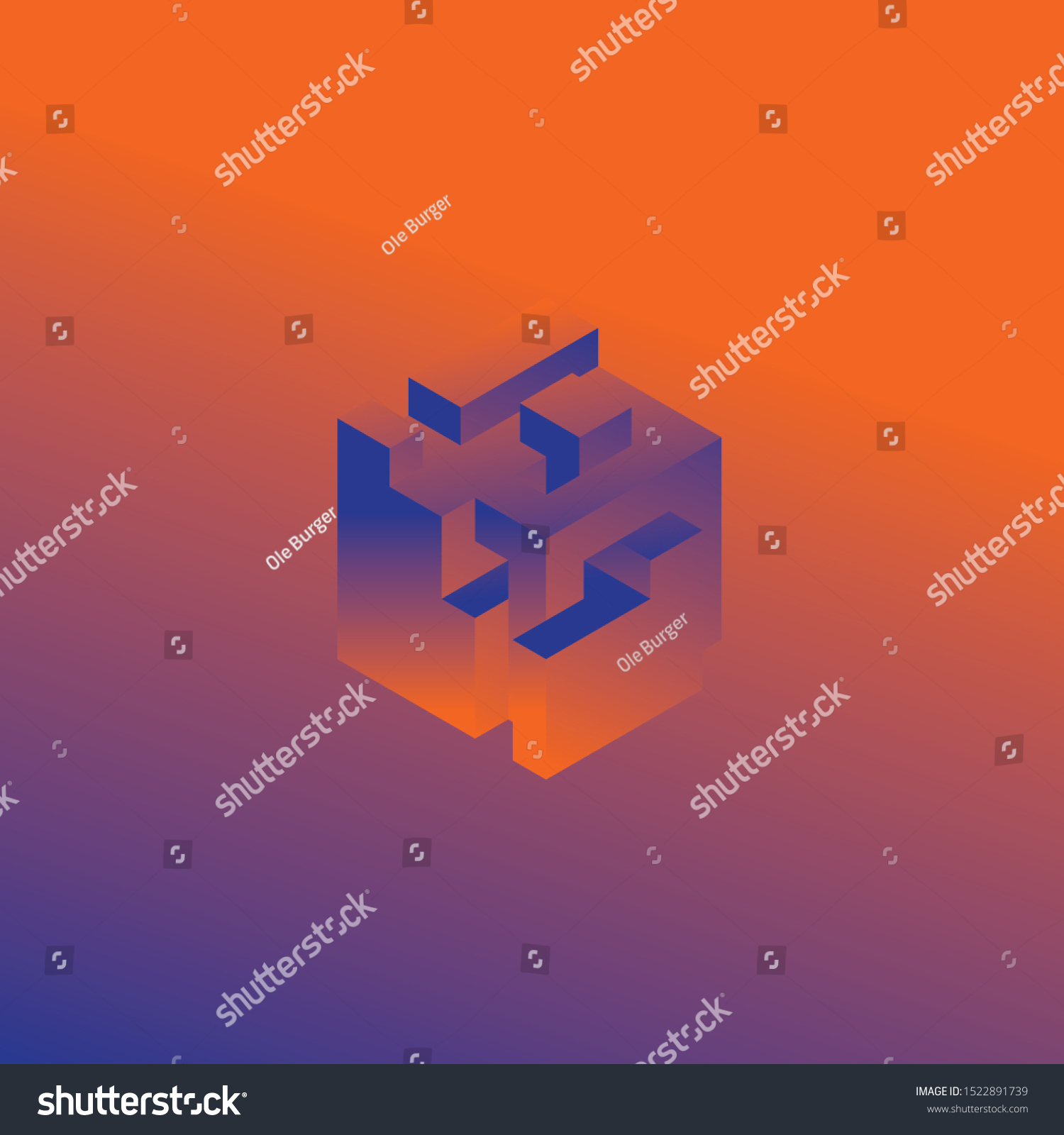 Maze Cubes Isometric View Stock Vector (Royalty Free) 1522891739 ...