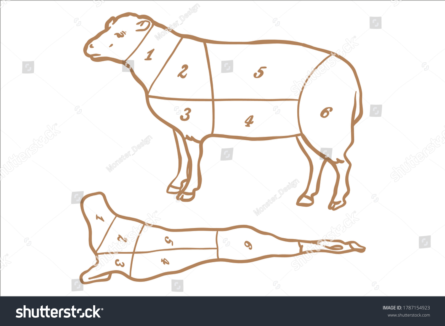Meat Cuts Diagram Mutton Stock Vector (Royalty Free) 1787154923