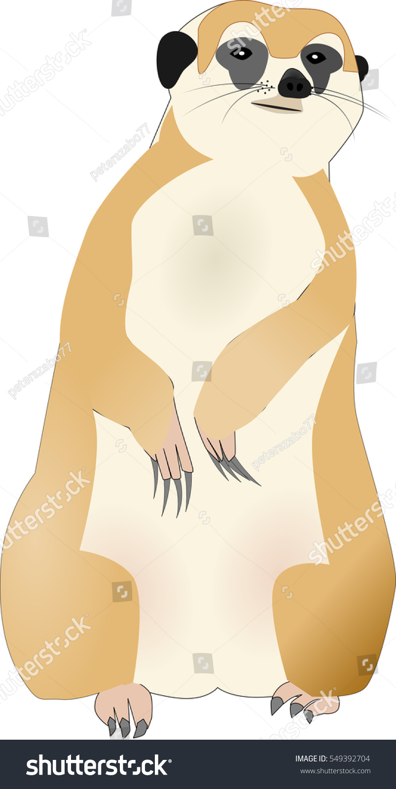 Meerkat Vector Illustration Stock Vector (Royalty Free) 549392704 ...