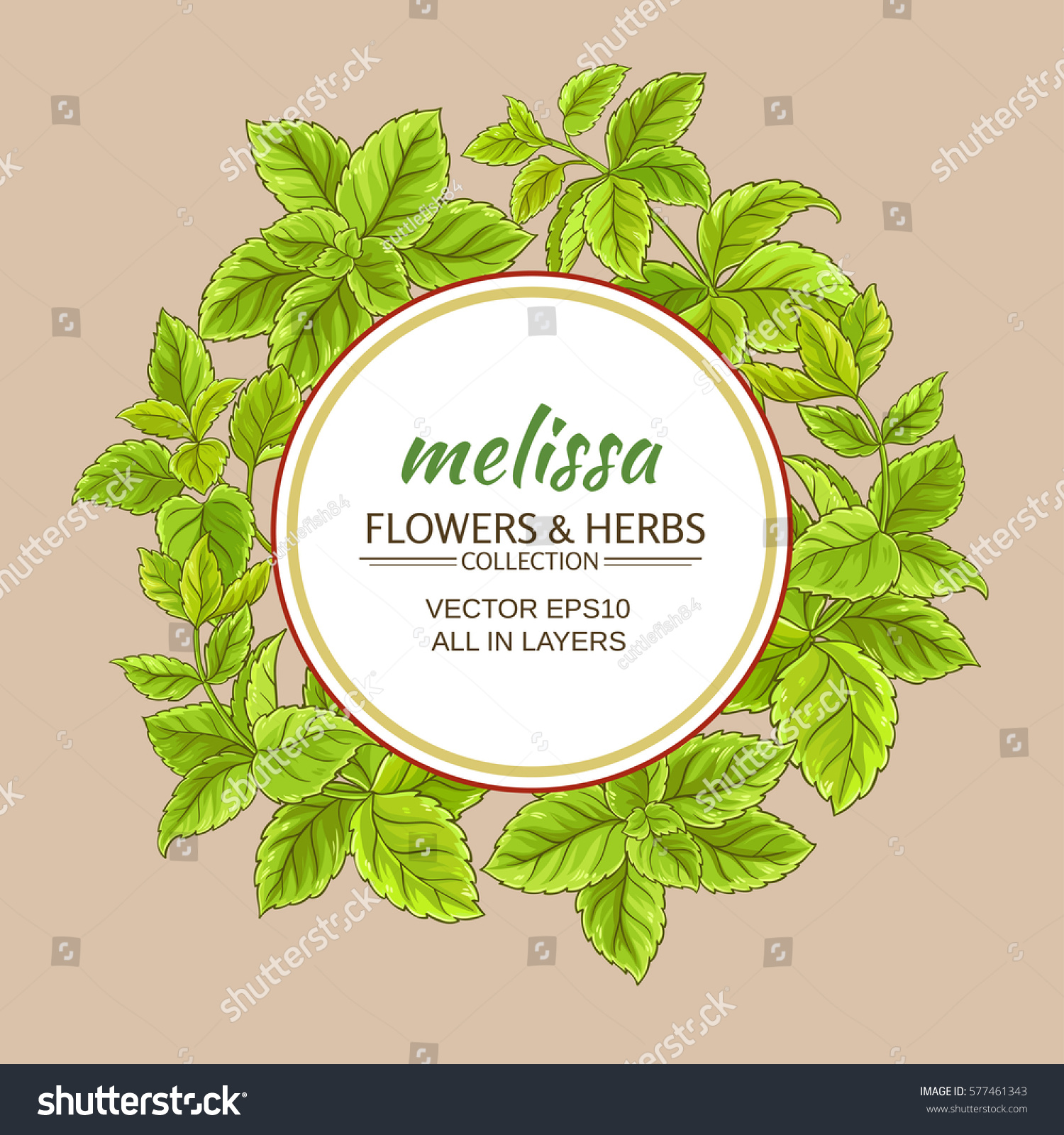 Melissa Vector Frame Stock Vector (Royalty Free) 577461343
