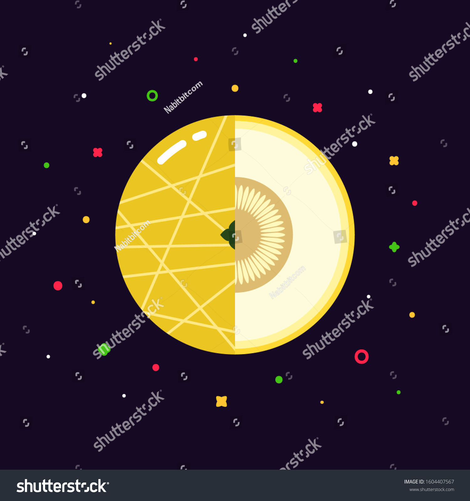 Melon Fruit Sphere Half Slice Logo Stock Vector (Royalty Free ...