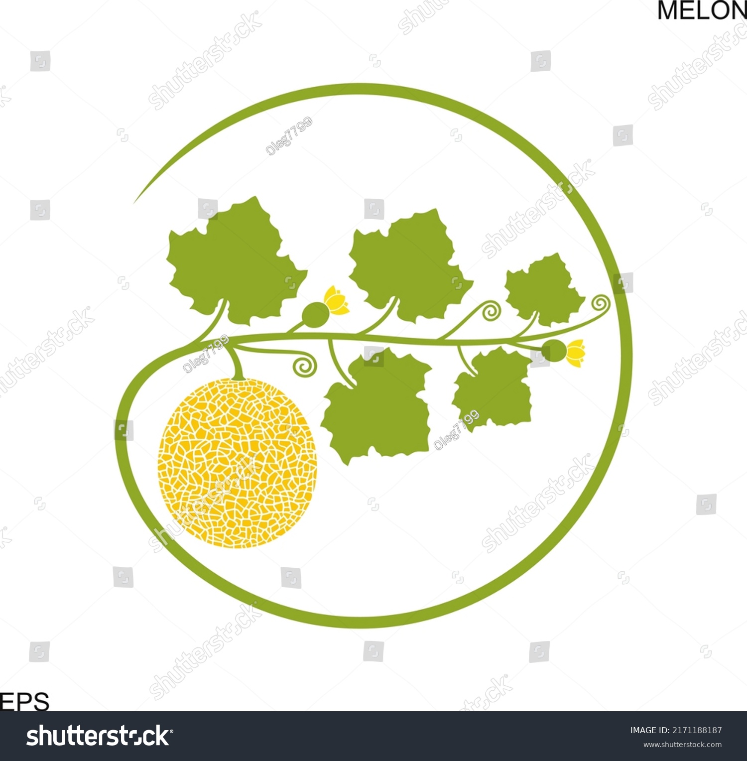 Melon Logo Isolated Melon On White Stock Vector (Royalty Free ...
