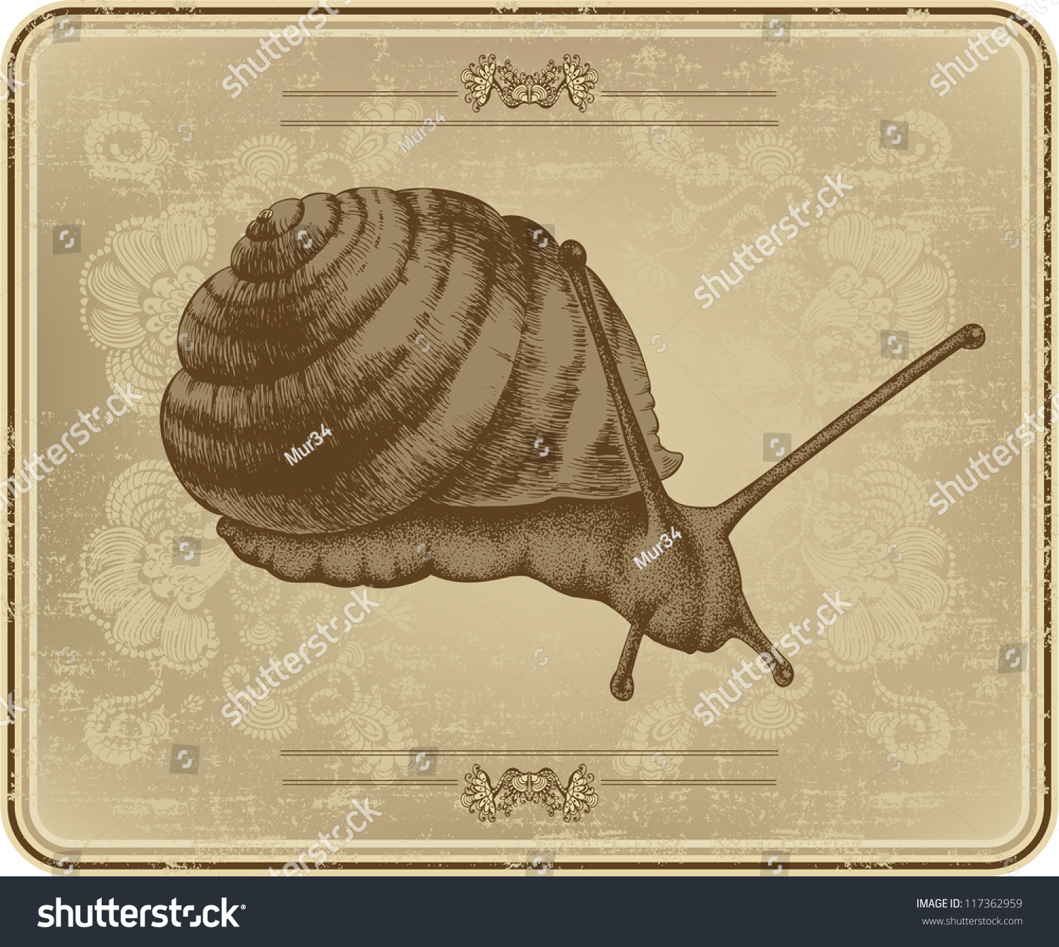 Menu Snail Hand Drawing Vector Illustration Stock Vector (Royalty Free ...
