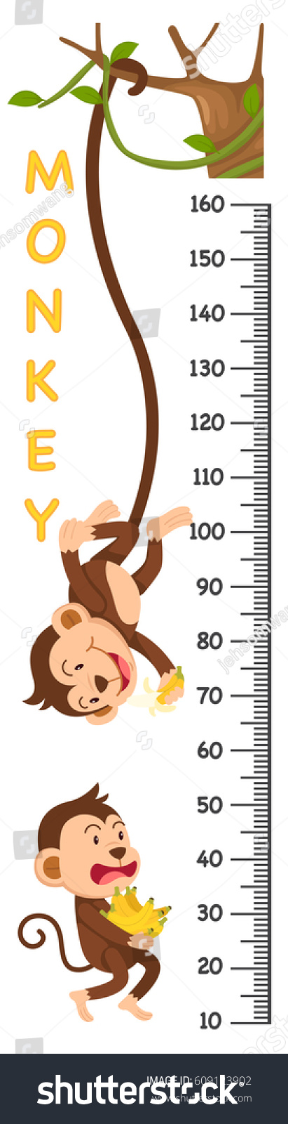 Meter Wall Monkeyvector Illustration: เวกเตอร์สต็อก (ปลอดค่าลิขสิทธิ์ ...