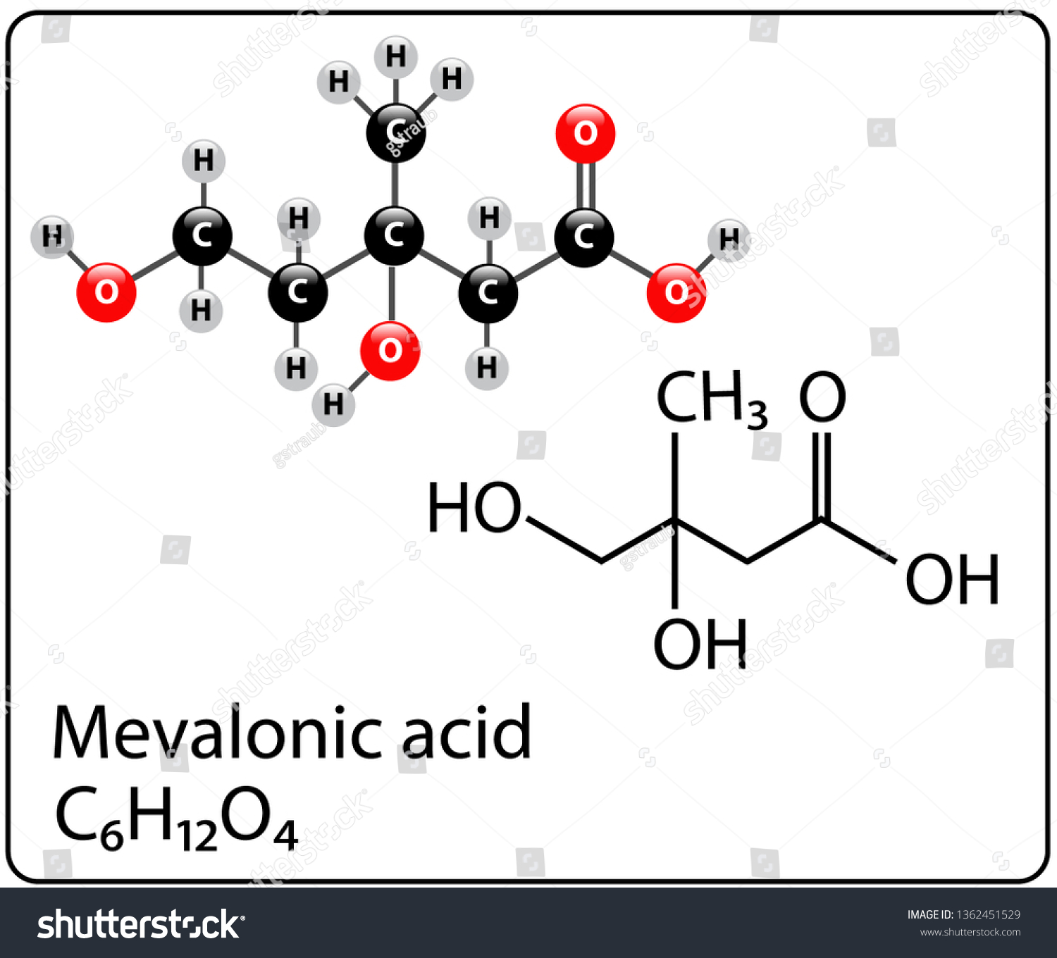 Mevalonic Acid Molecule Structure Stock Vector (Royalty Free) 1362451529