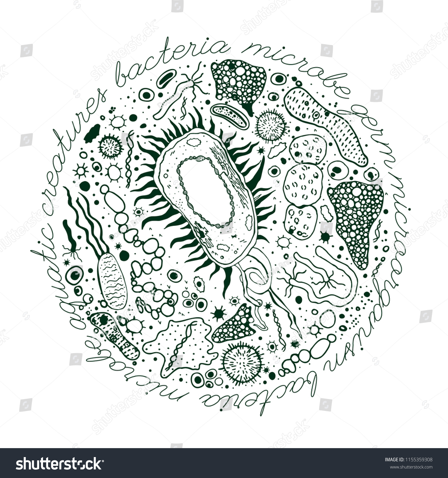 Microorganisms Bacteria Handdrawn Image Single Celled Stock Vector ...